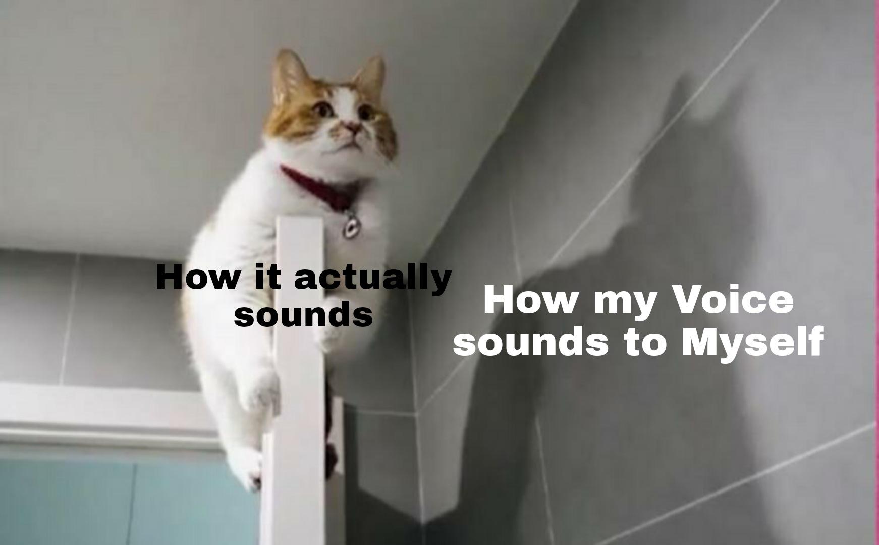 *Sad squeaker noises* | Scrolller