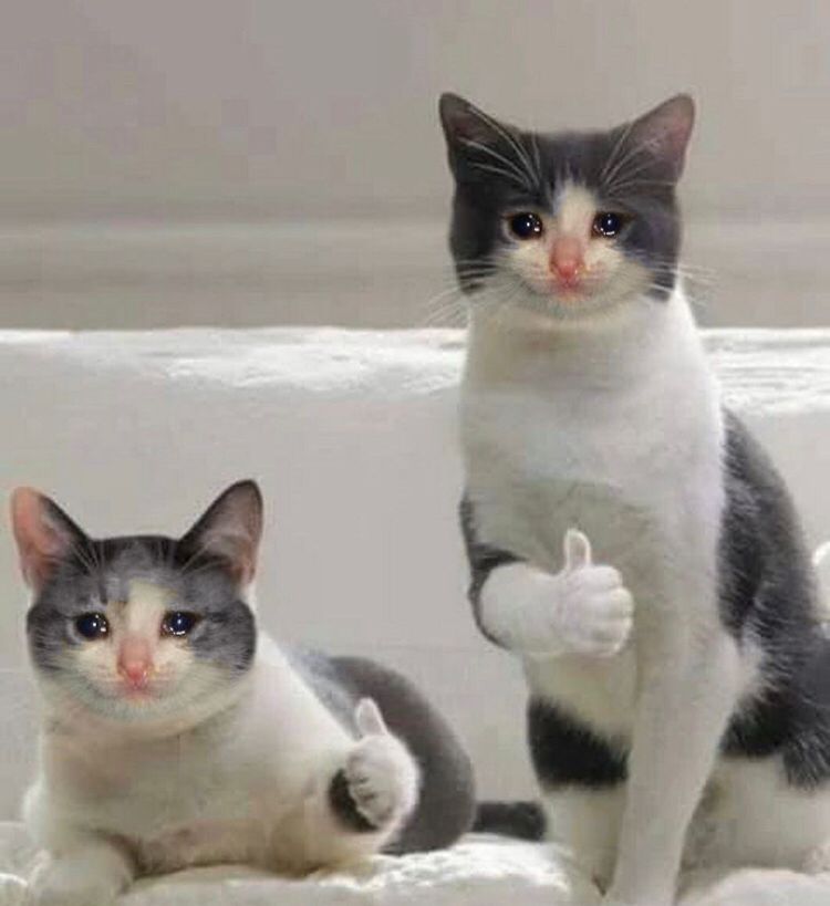 sad two thumbs up | Scrolller