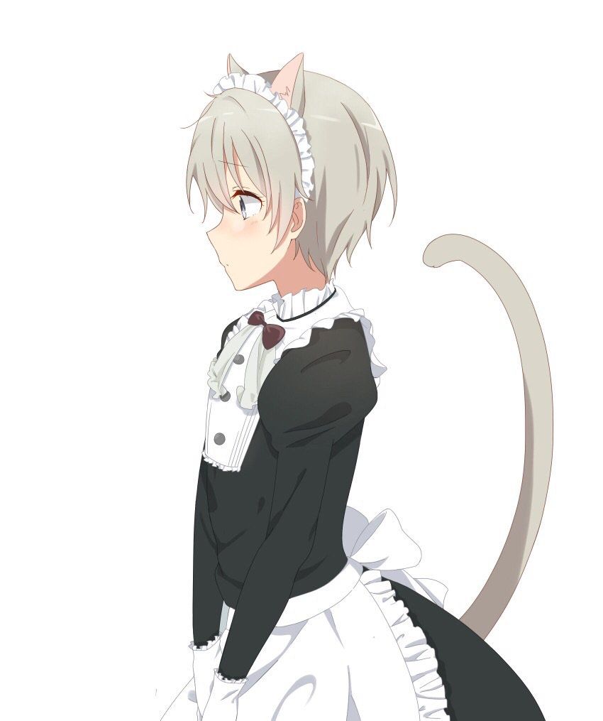 Saika Neko Maid | Scrolller