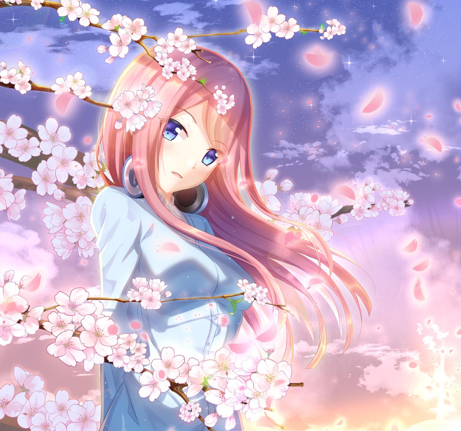 Sakura Miku | Scrolller