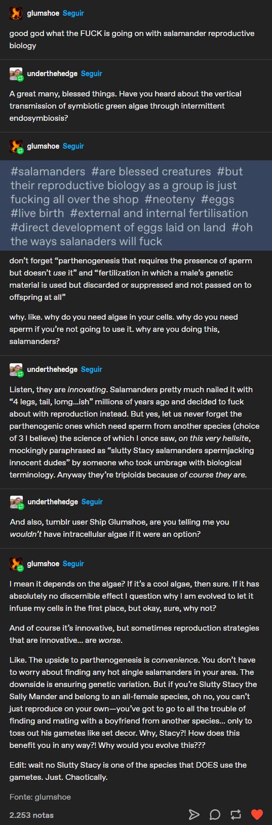 Sally Mander's Special Babies and Other Salamander Oddities | Scrolller