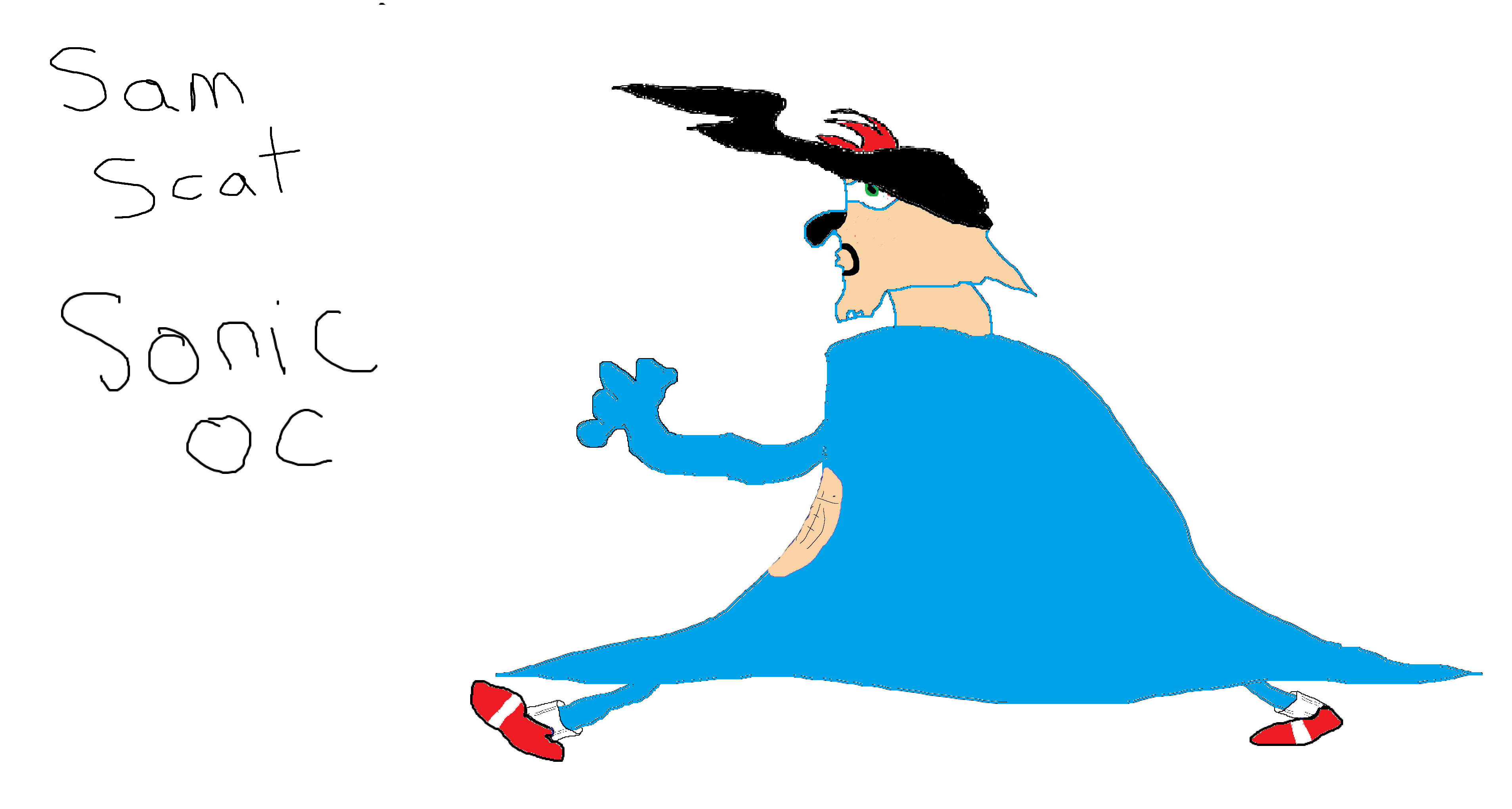 Sam Scat -- Sonic OC | Scrolller