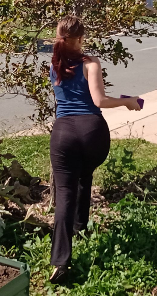 Same day, different perspective | Scrolller