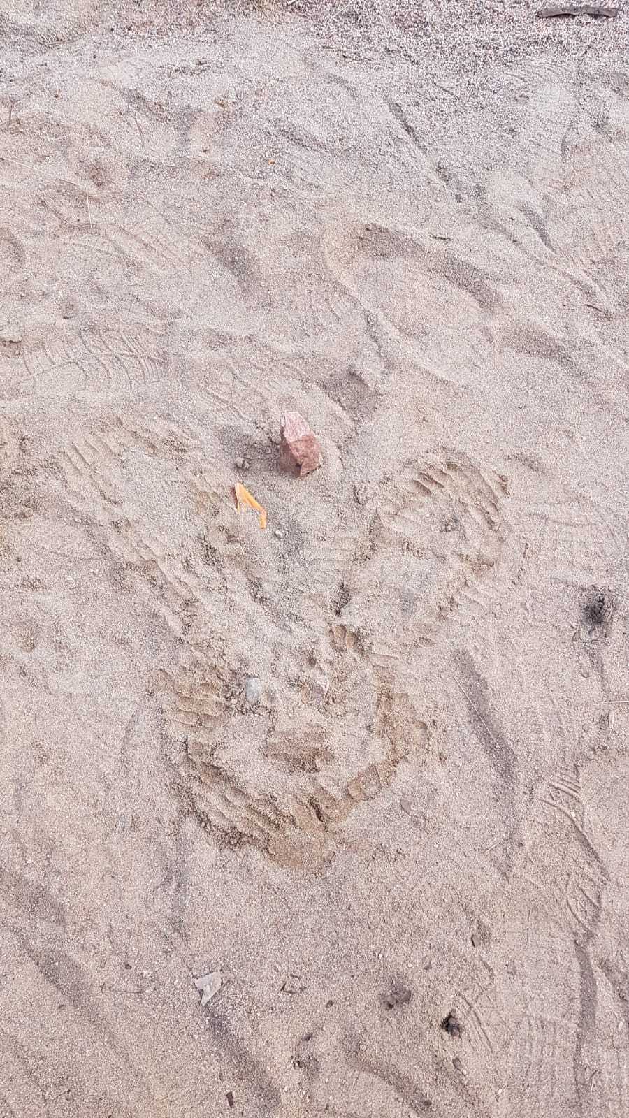 Sand Hopla | Scrolller