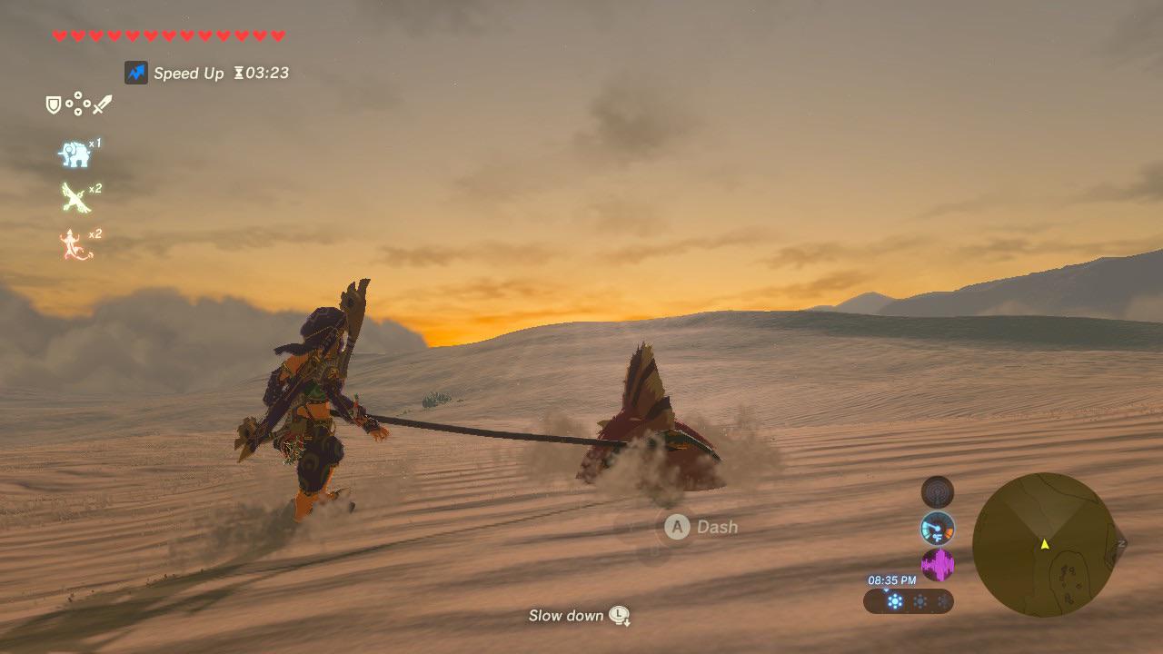 Sand seal surfing is so calming for some reason | Scrolller