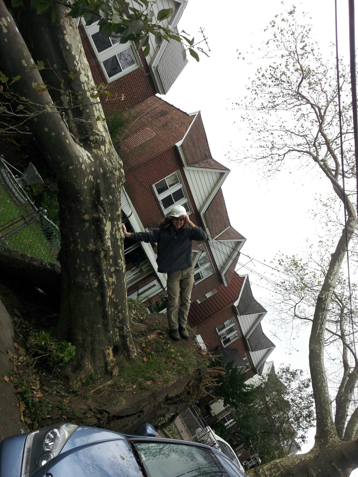 Sandy from a different perspective | Scrolller