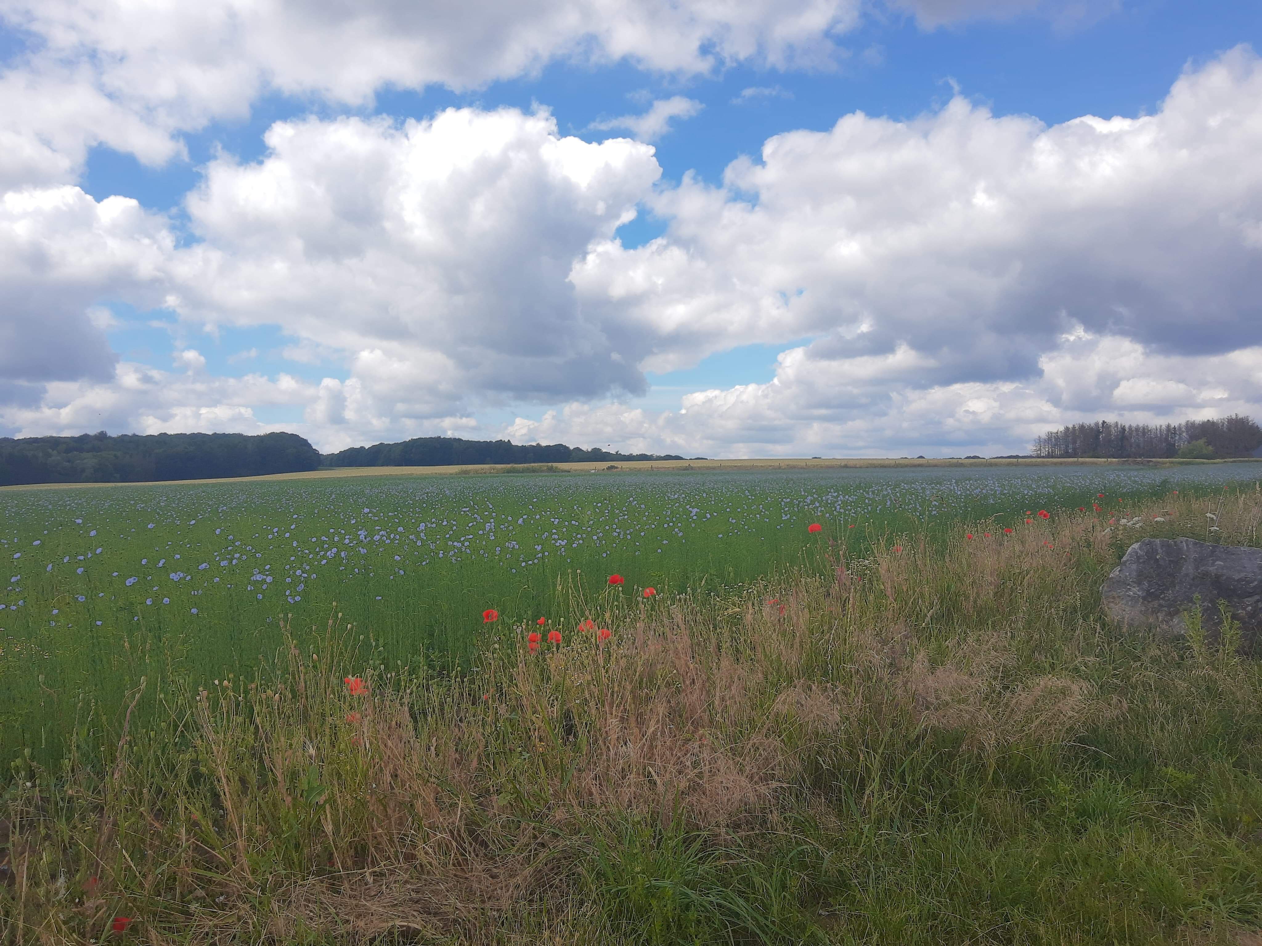 Sart Eustache, Belgium | Scrolller