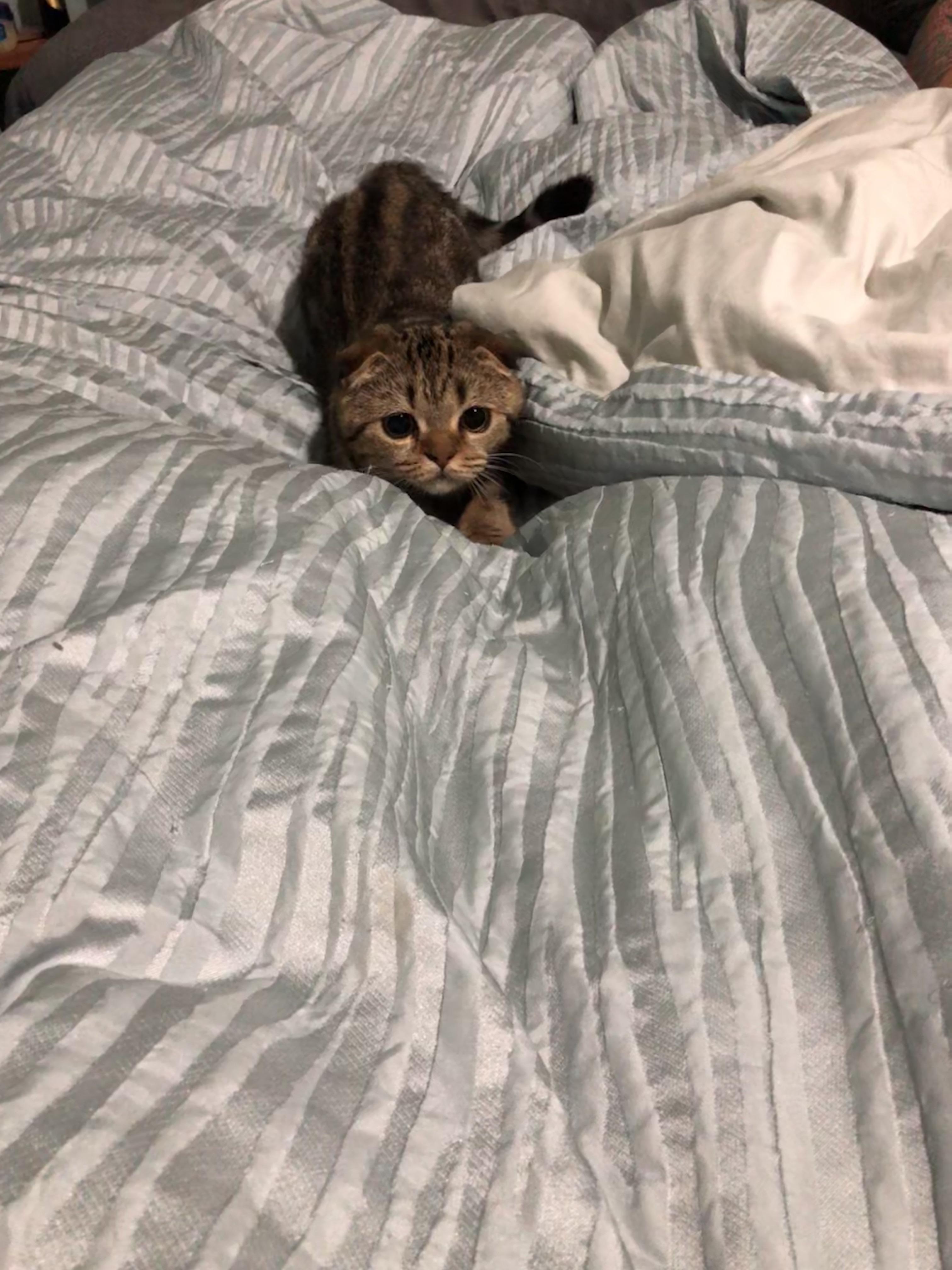 Sasha planning her attack! | Scrolller