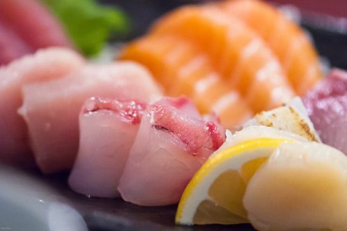 Sashimi in Yu-Zen | Scrolller