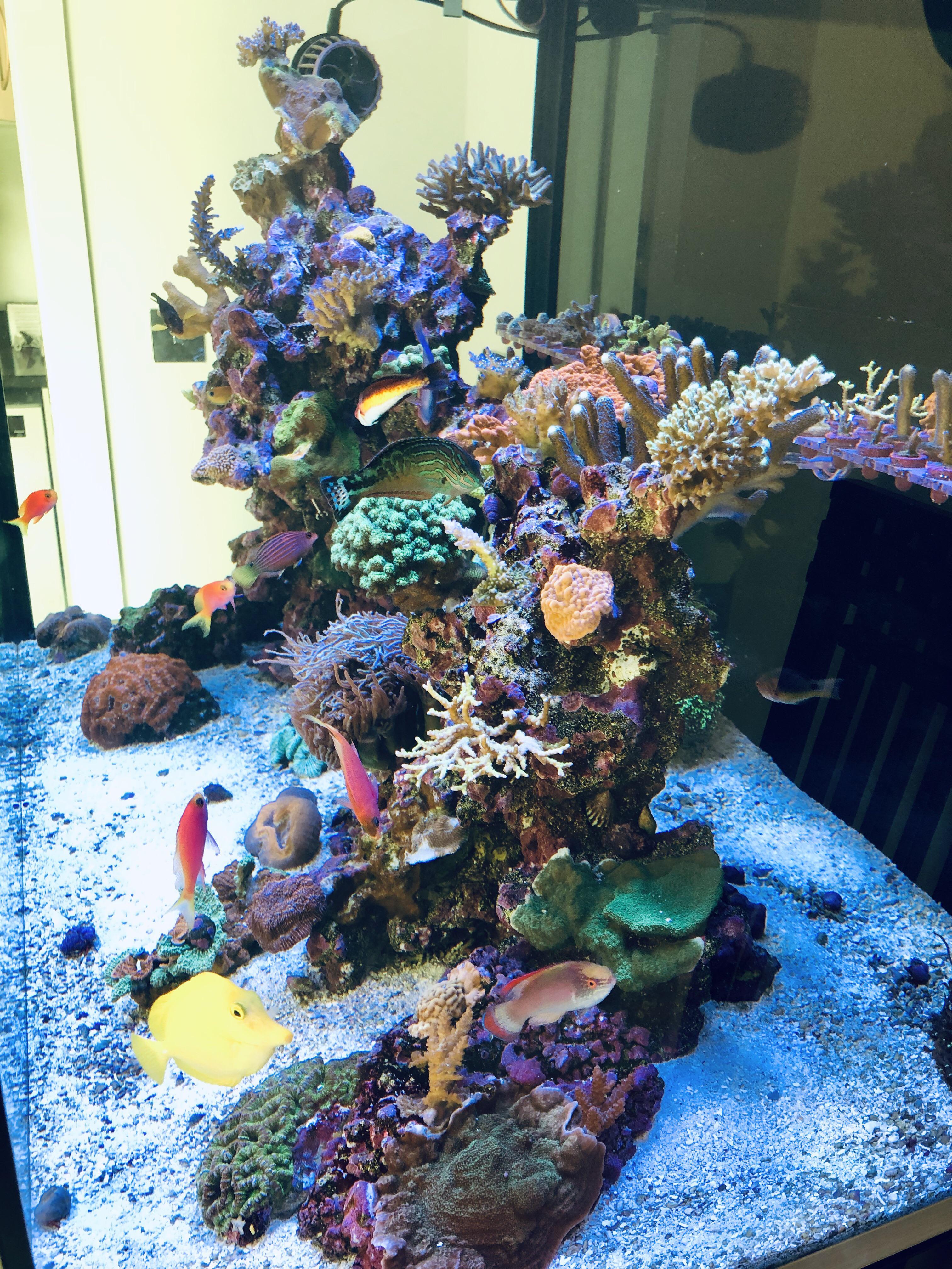 Saturday side boob... | Scrolller