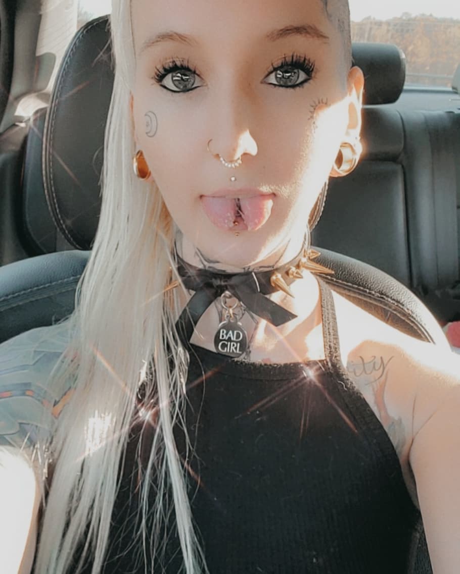 Savannah | Scrolller