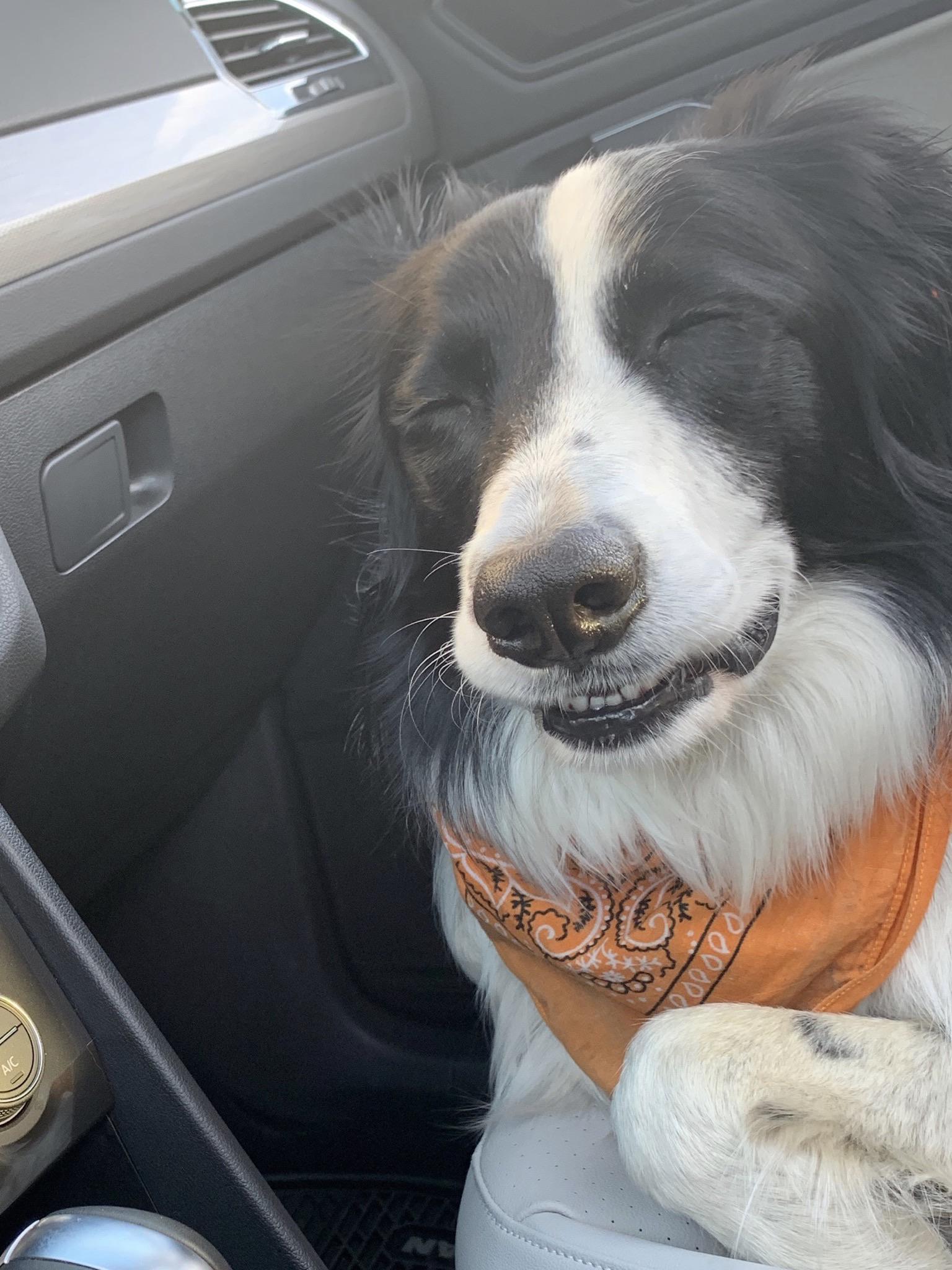 Say cheese! | Scrolller