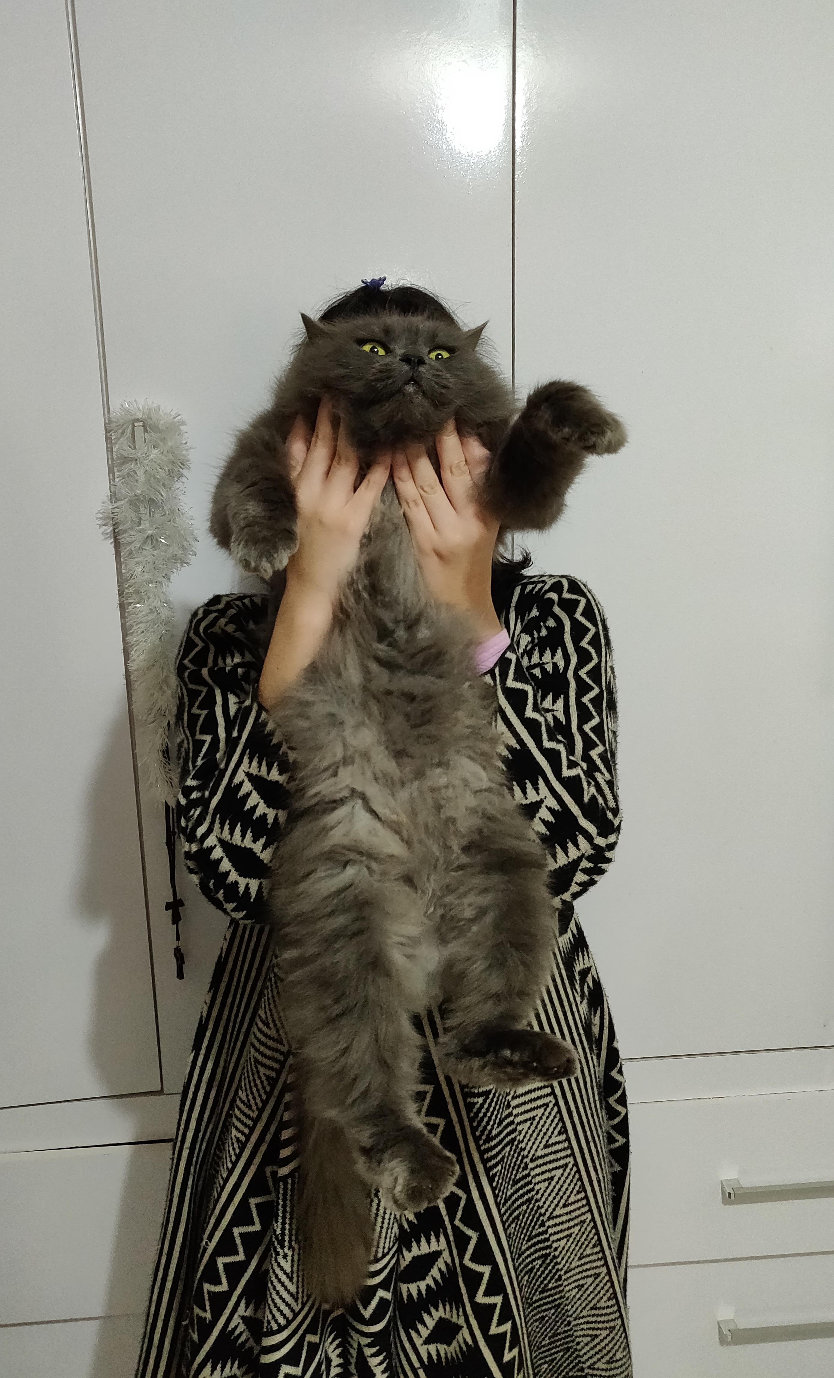 Say hi to Boris | Scrolller