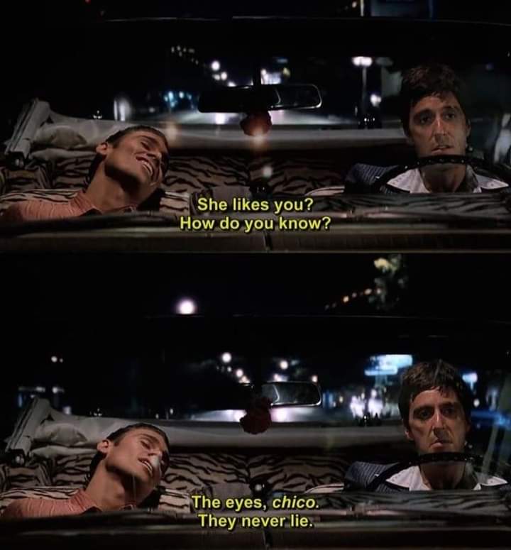 Scarface (1983)🎬 | Scrolller