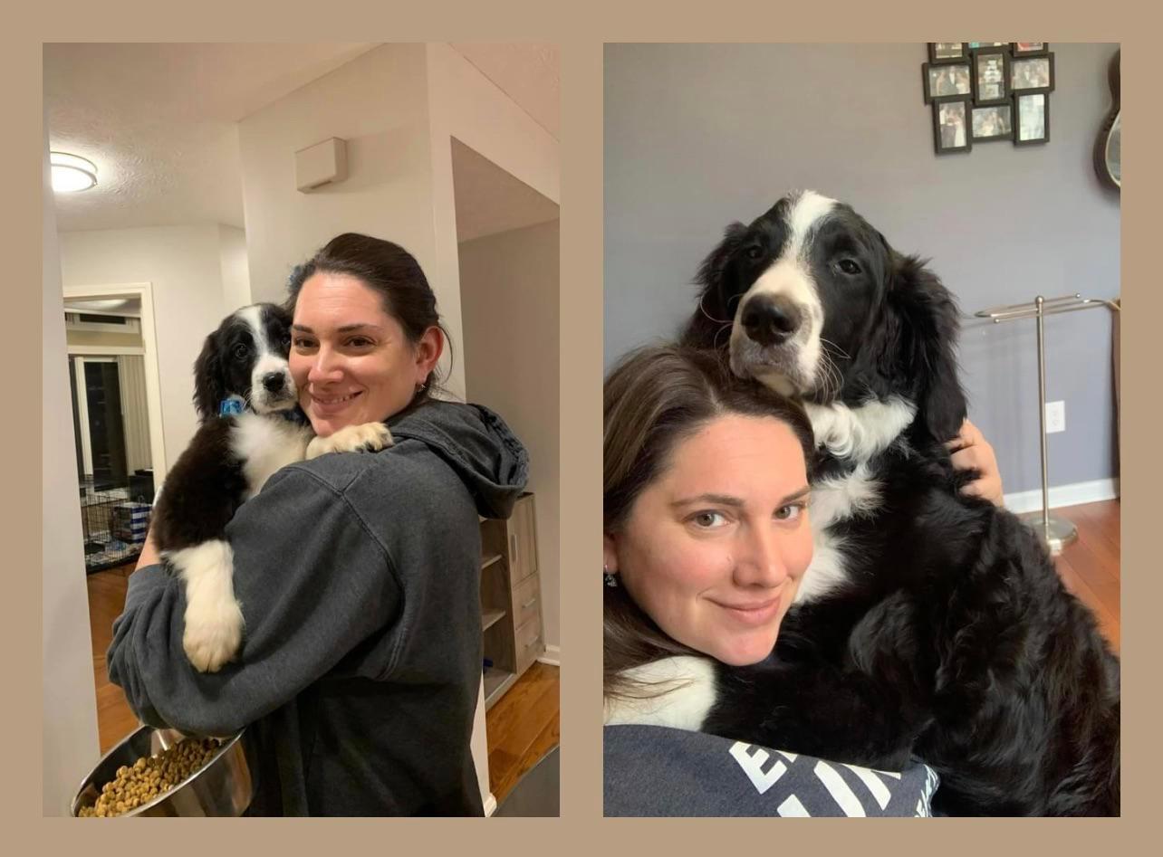Scout. 2 photos 3 months apart. | Scrolller