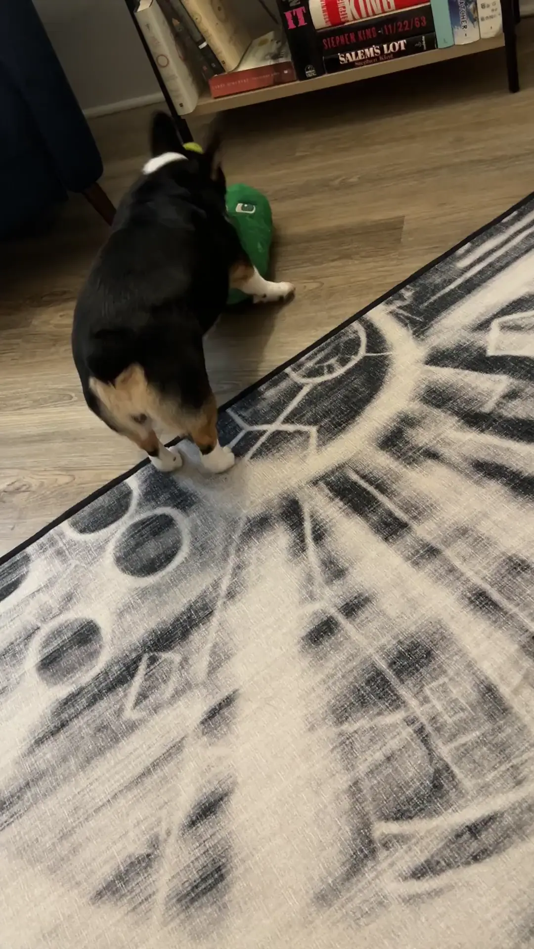 Scout Shenanigans | Scrolller