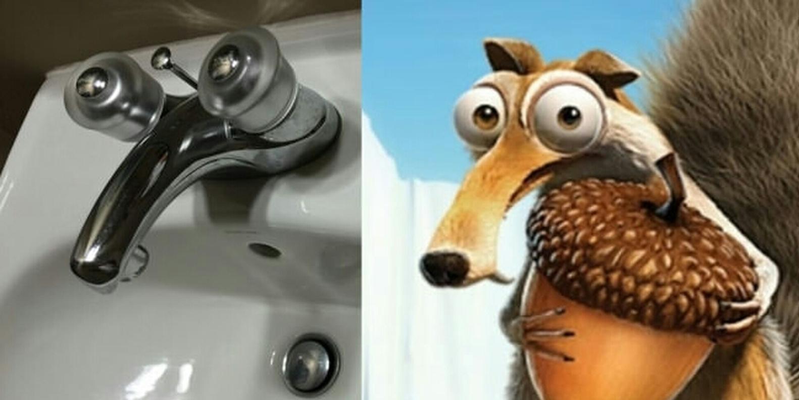 Scrat Sink | Scrolller