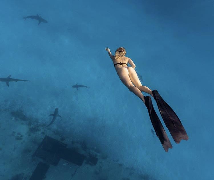 Scuba diving 1 | Scrolller