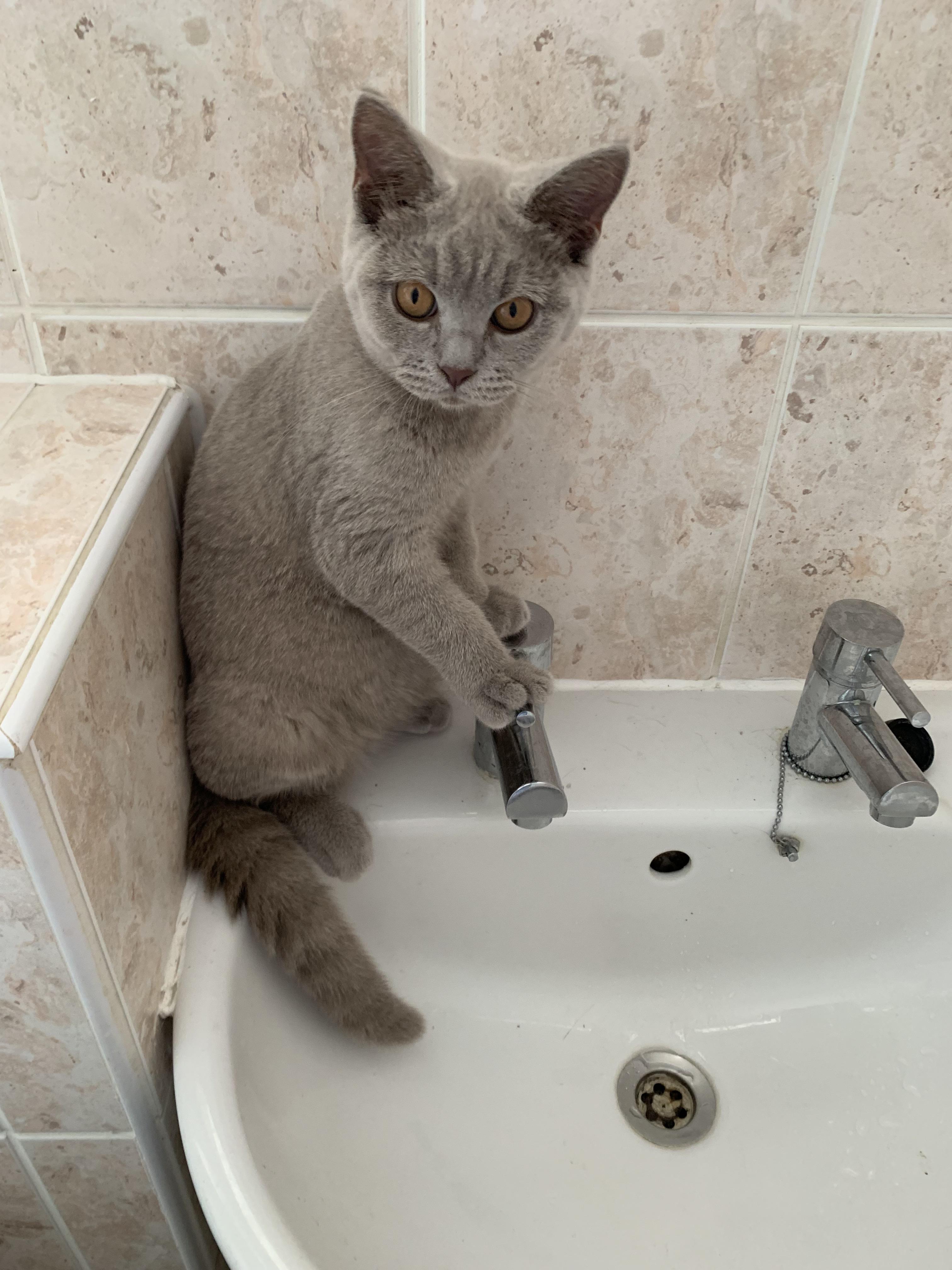 Seconds before he flooded the bathroom | Scrolller