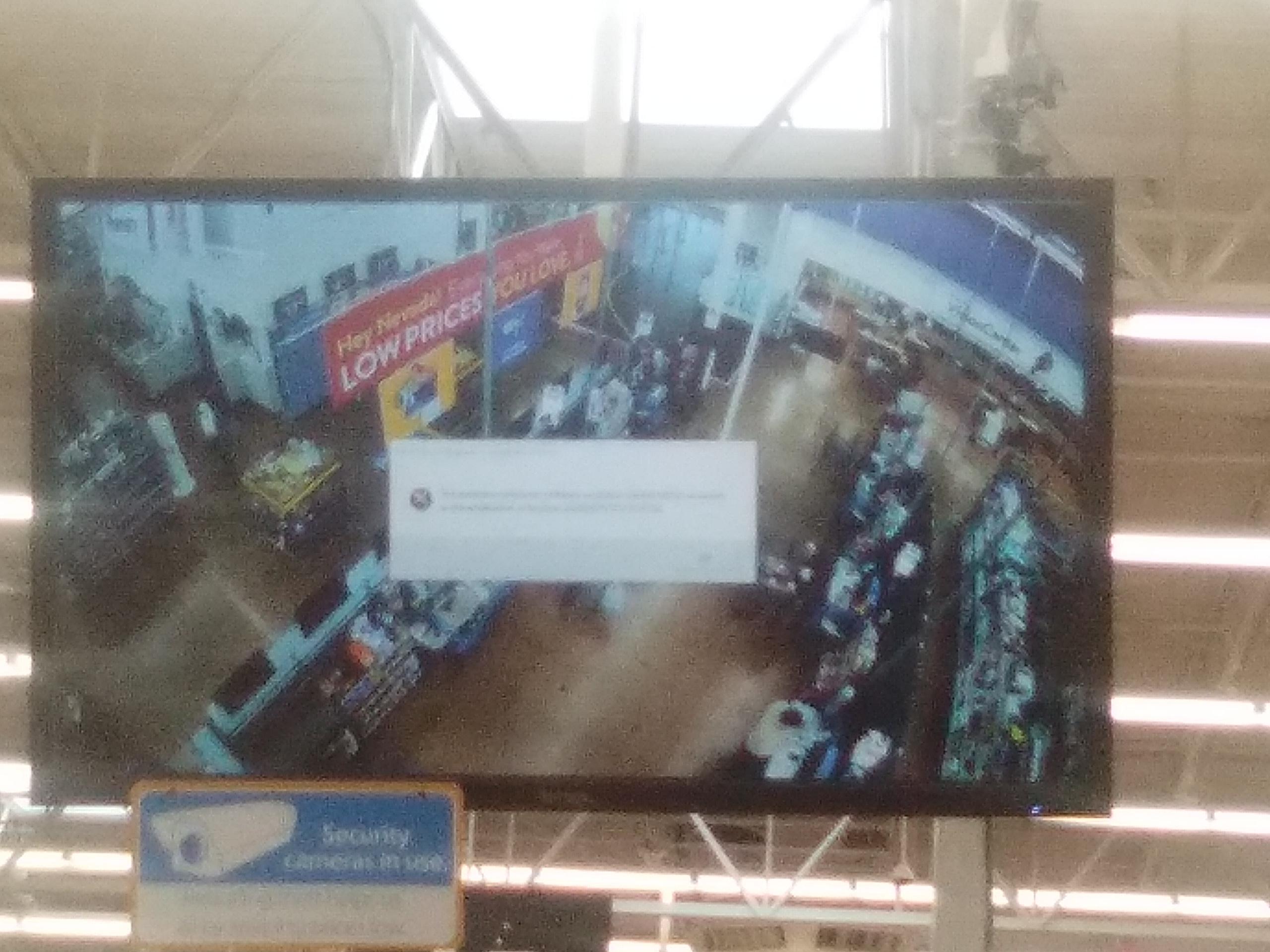 Security feed | Scrolller