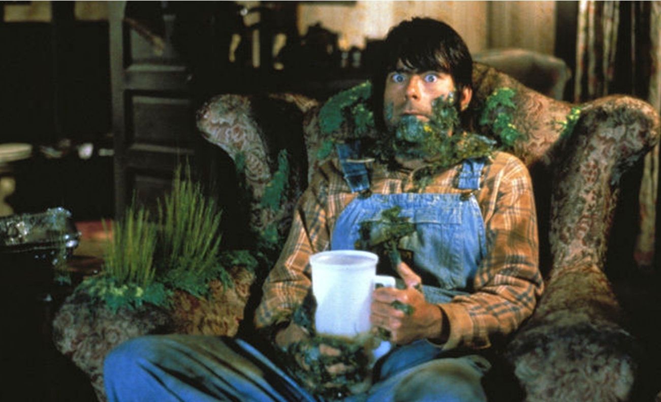 Self isolation King | Scrolller