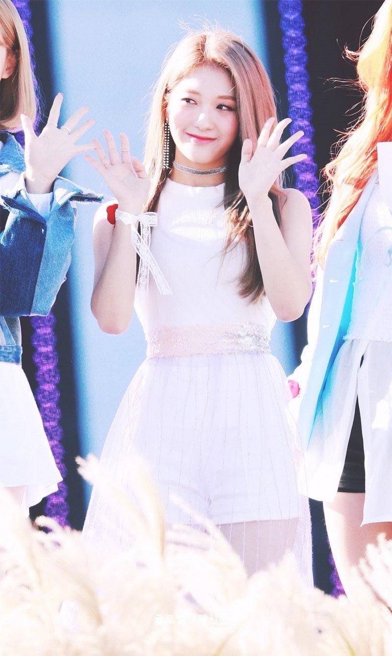 Seo Wave | Scrolller