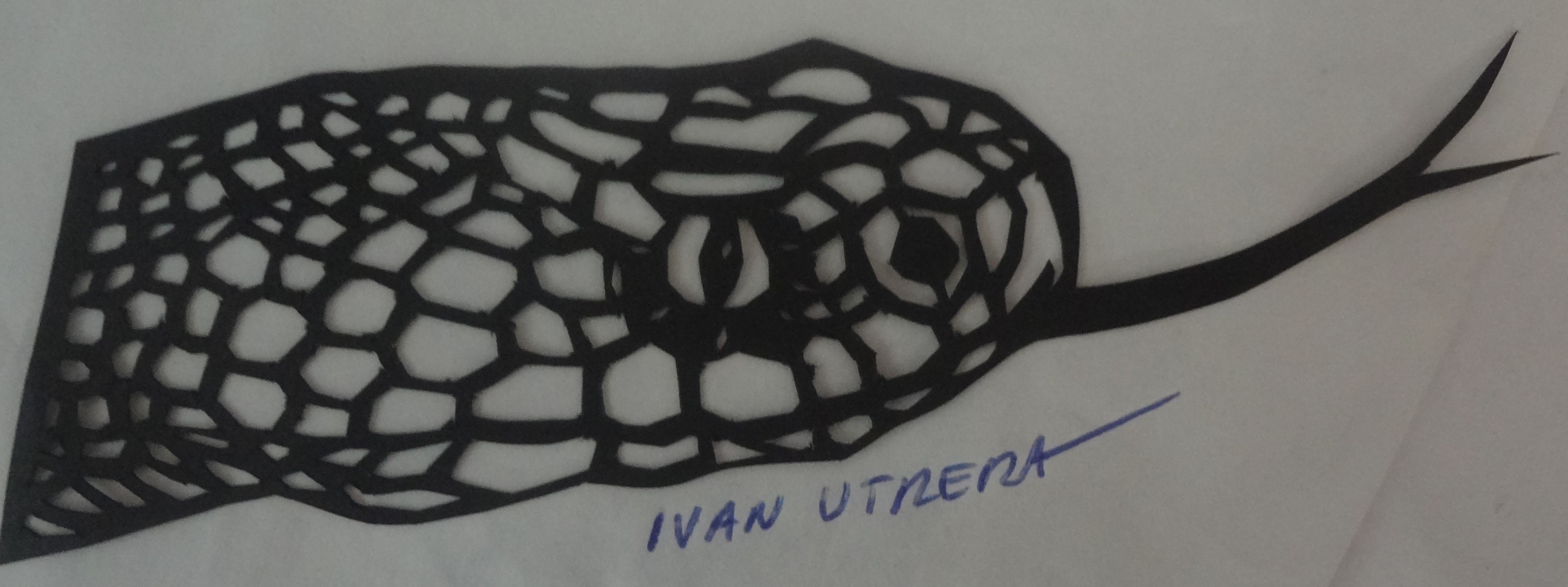 serpiente paper cut | Scrolller