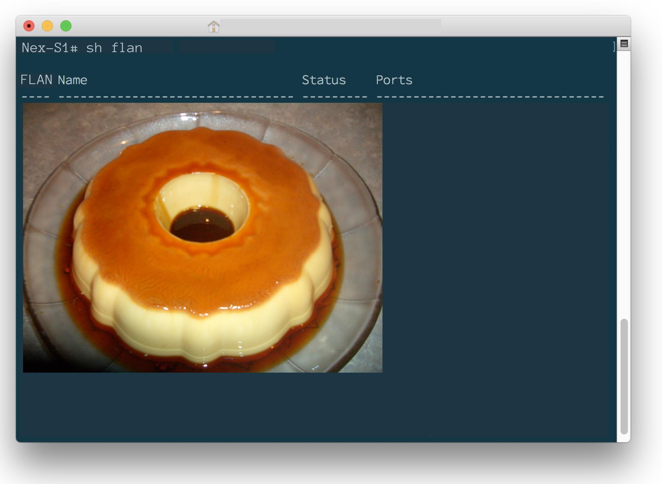 sh flan^H^H^H^Hvlan | Scrolller