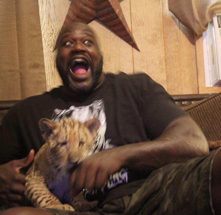 Shaq holding a liger | Scrolller