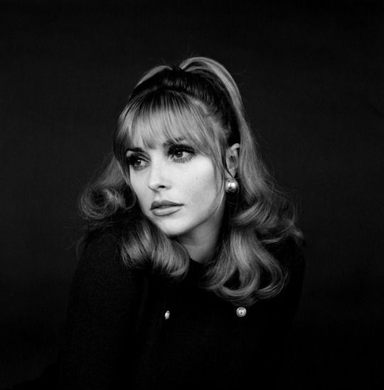 Sharon Tate [1966] | Scrolller