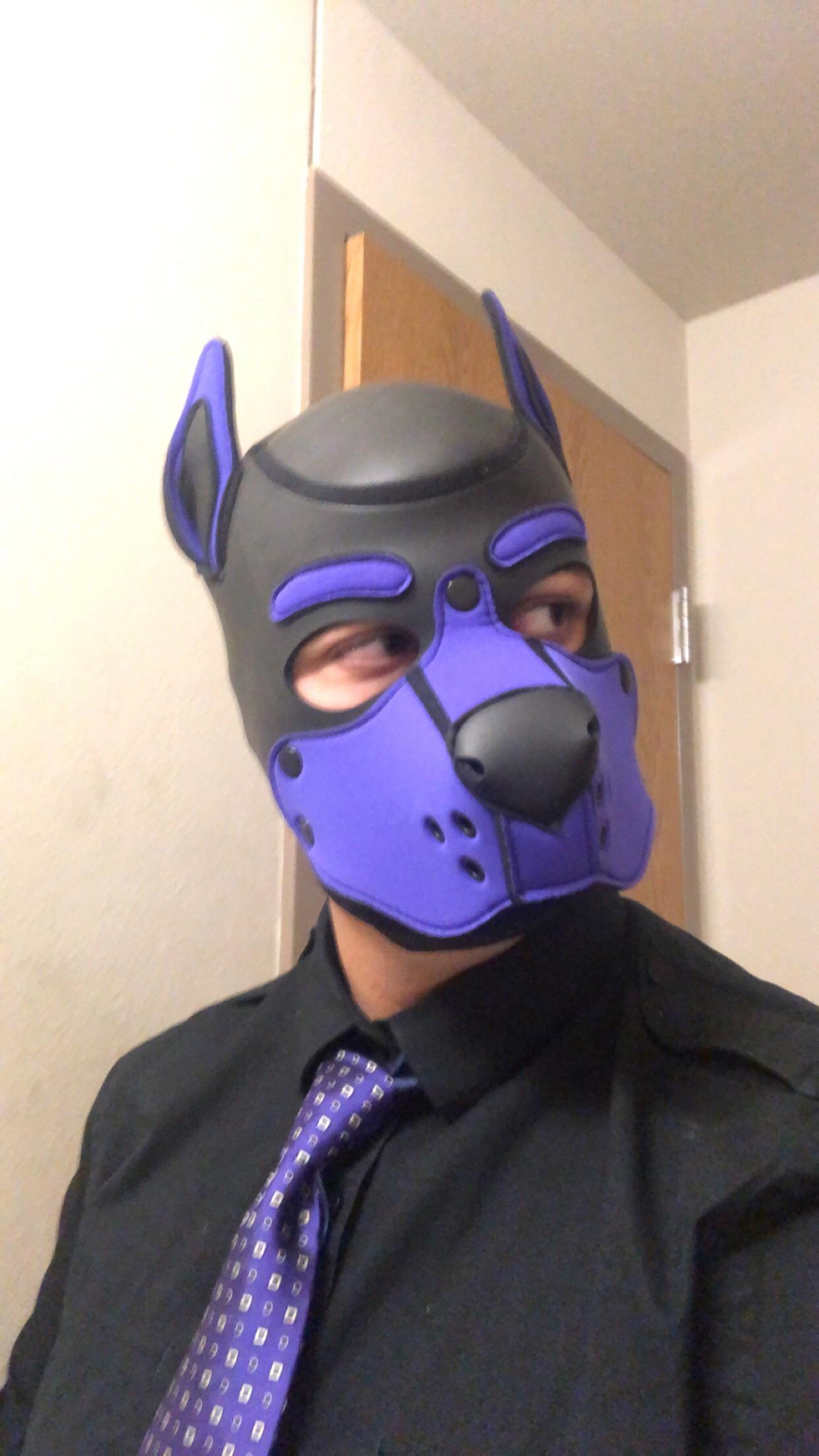 Sharp dressed pup. I think yes. | Scrolller