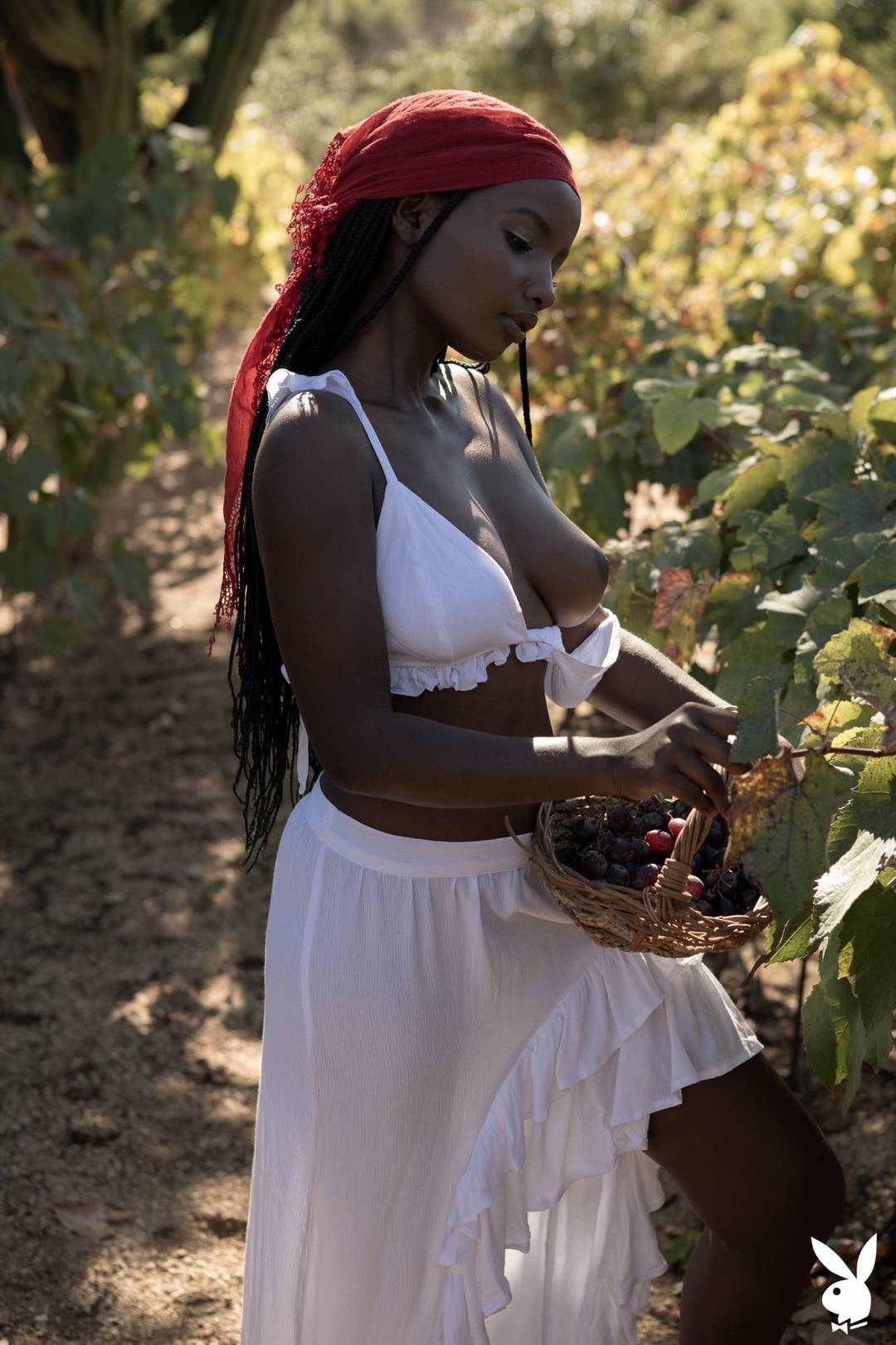 Shasta's fruit | Scrolller