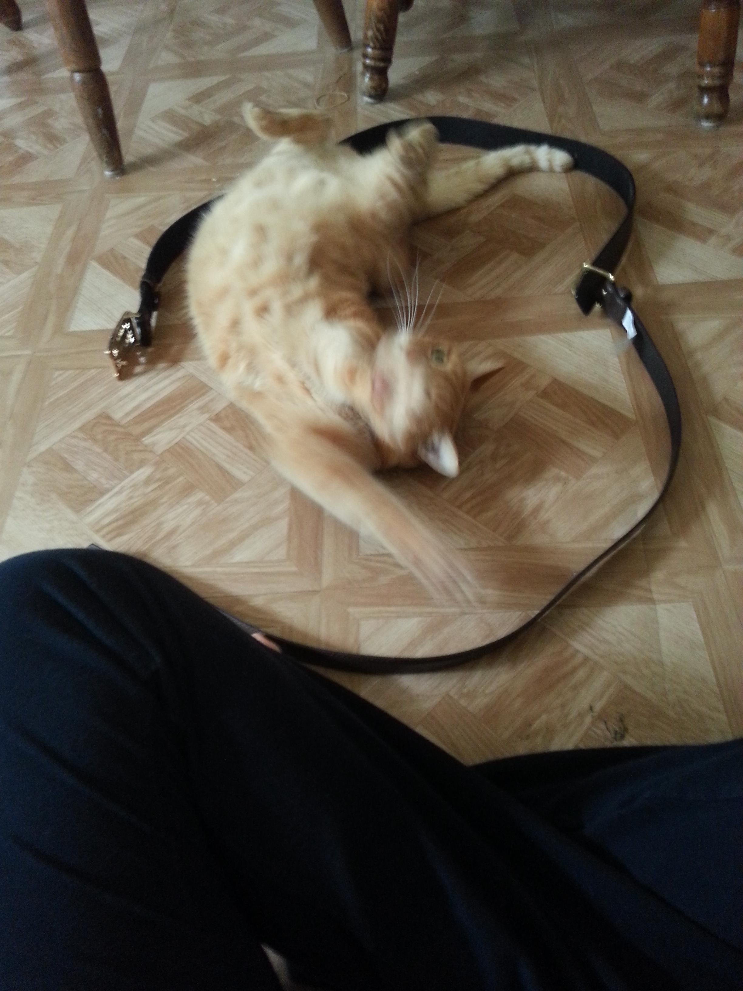 She broke the spell | Scrolller