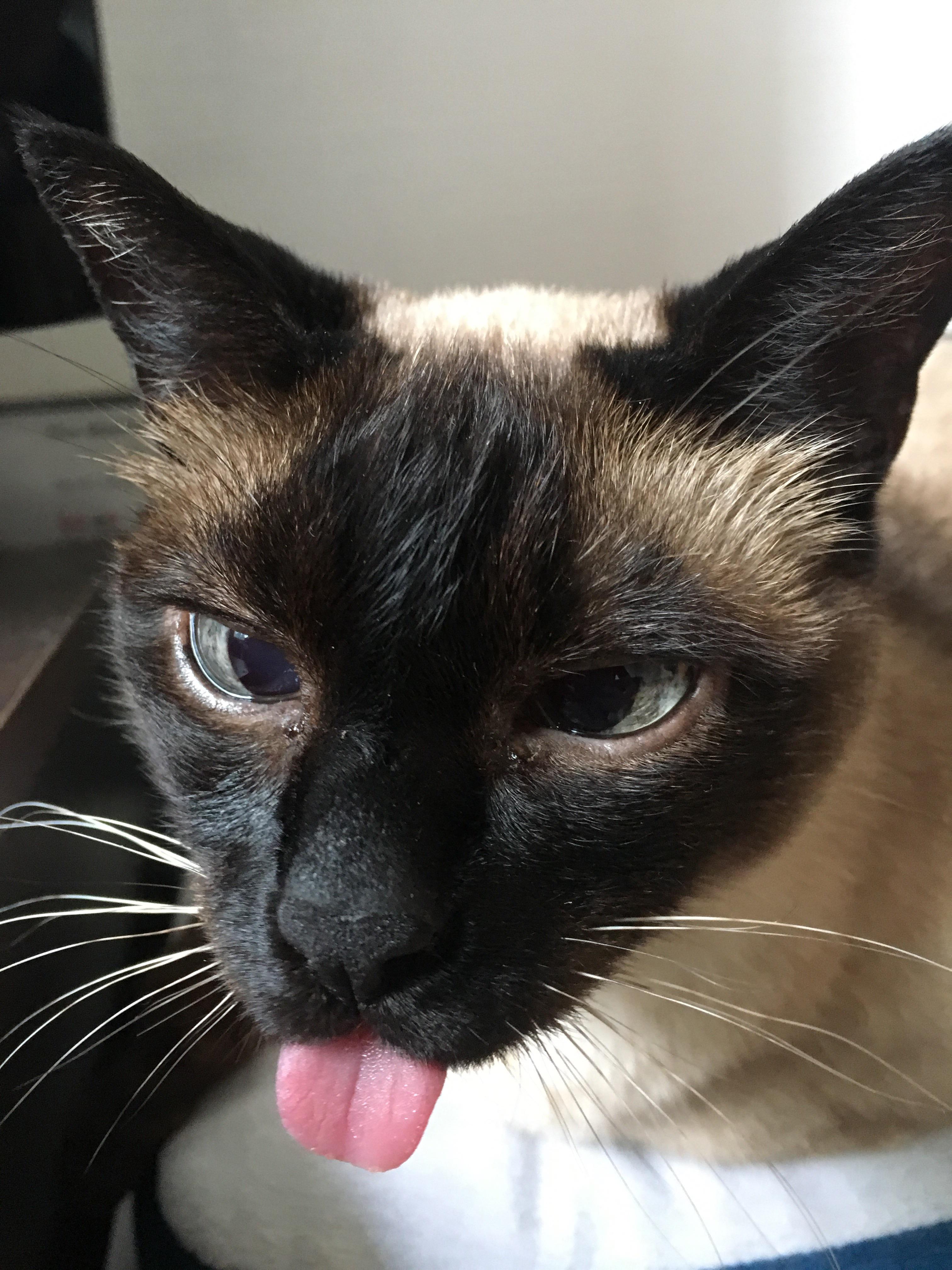 She can’t help her bleps. I caught a big one here | Scrolller