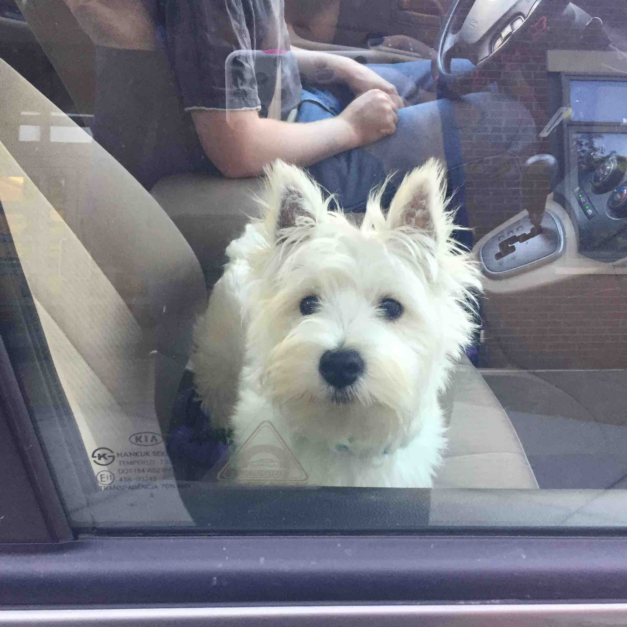 She comes to pick me up from work every day😍 | Scrolller