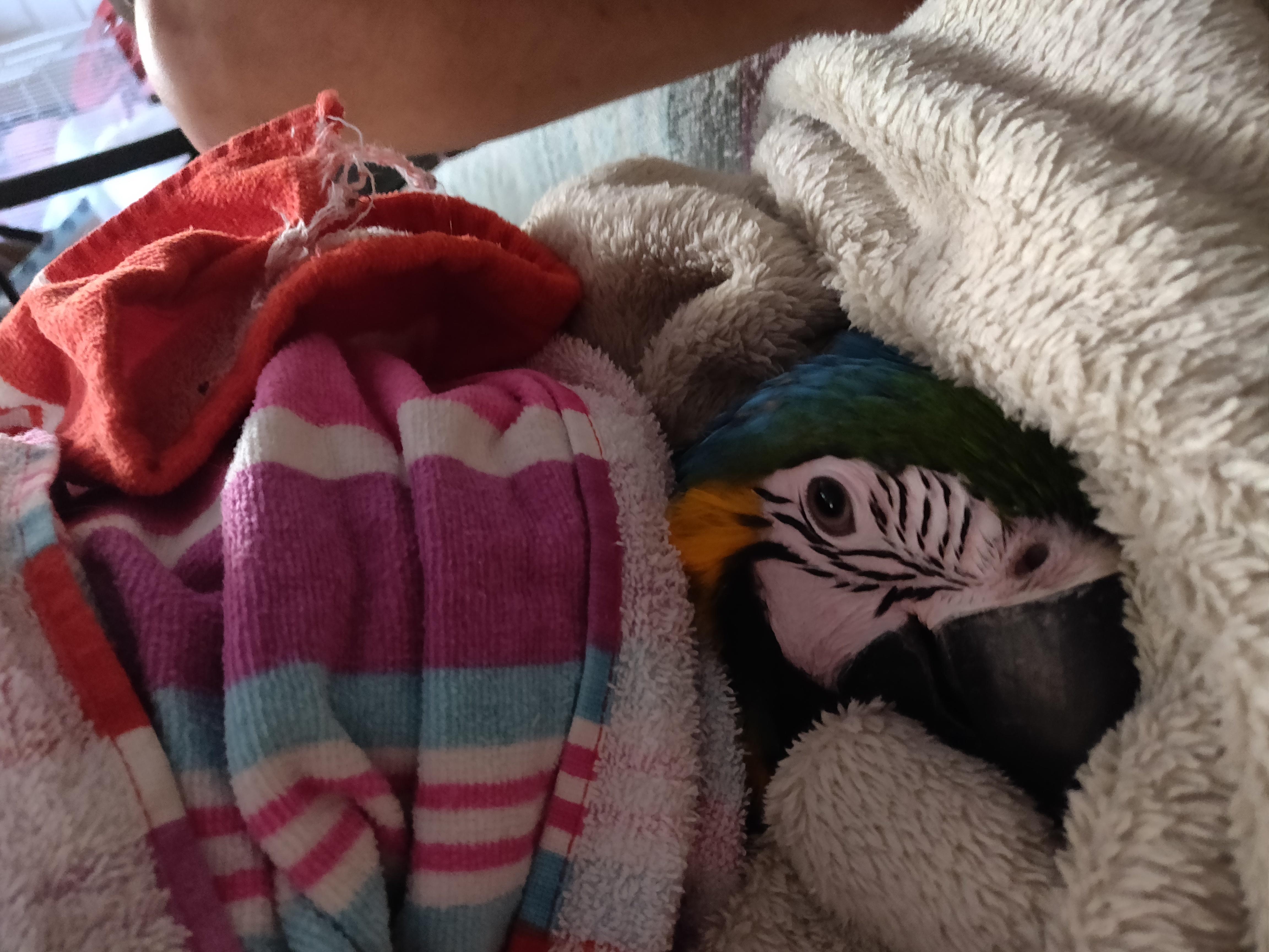 She doesn't like baths | Scrolller