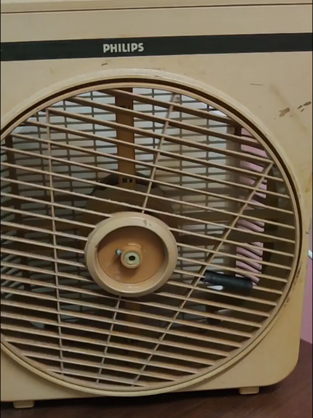 She goes both ways | Scrolller