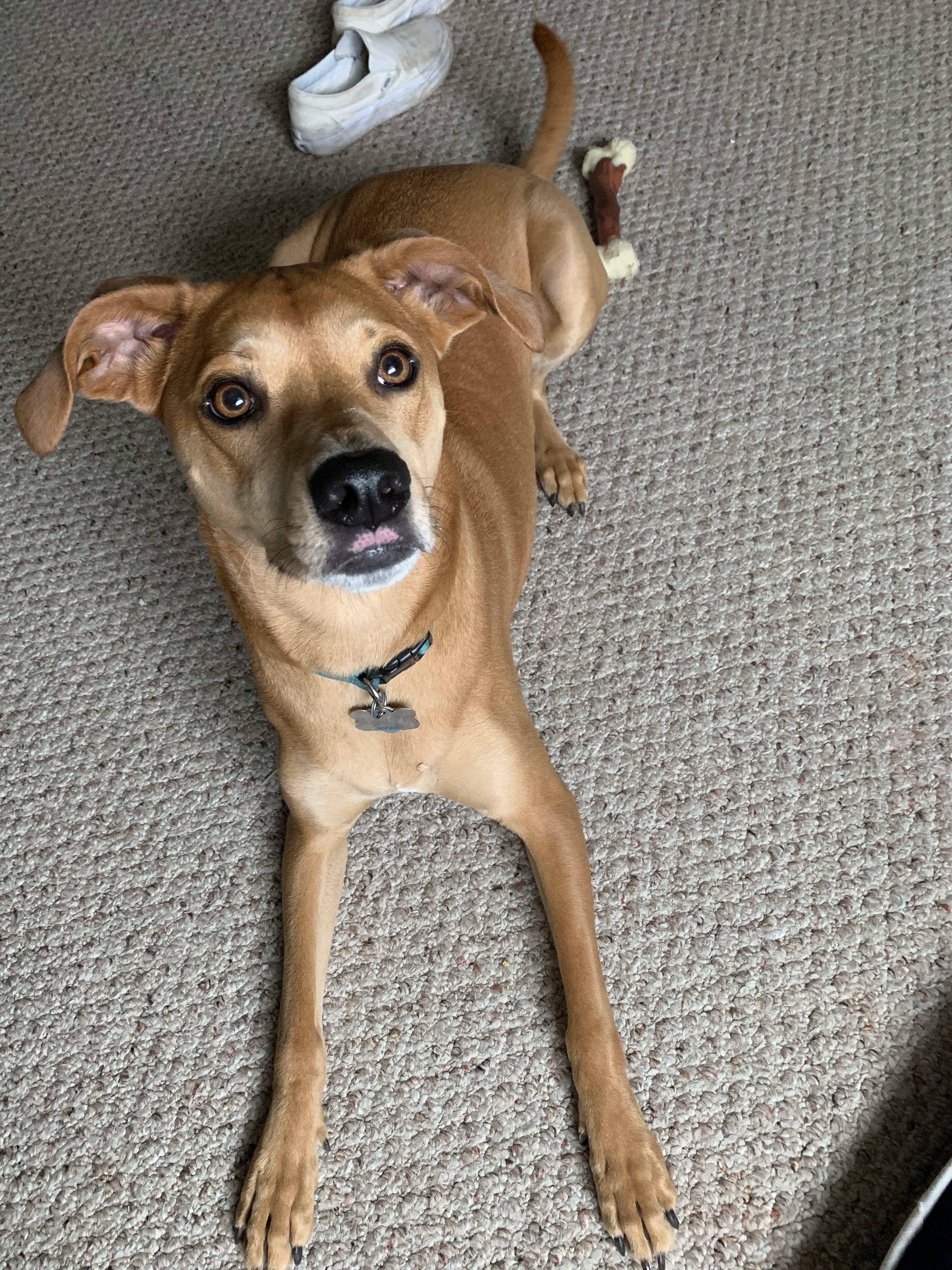 She has a little pink spot that looks like an constant mlem | Scrolller