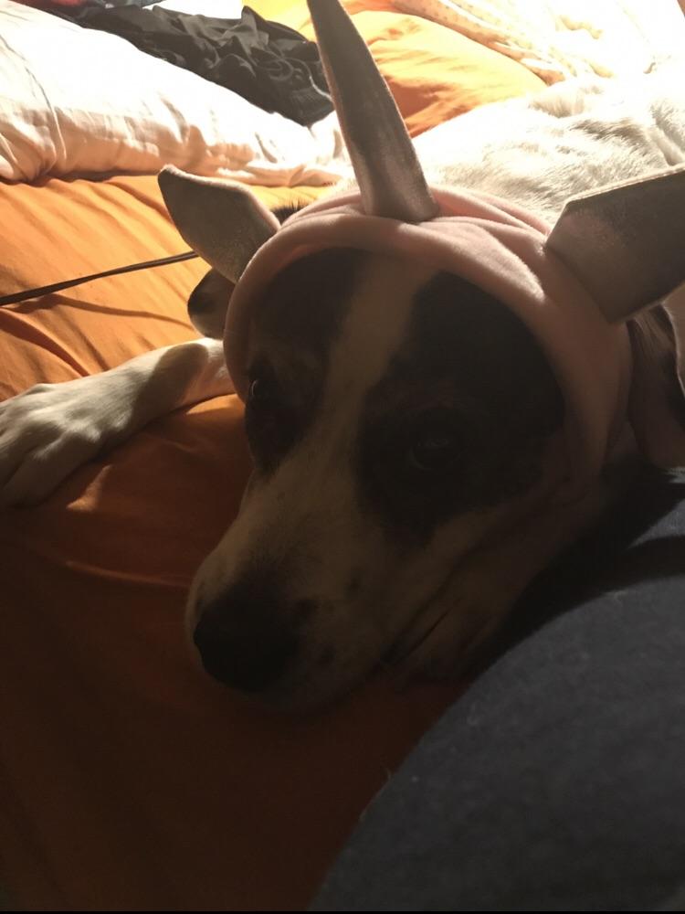 She has become a unicorn | Scrolller