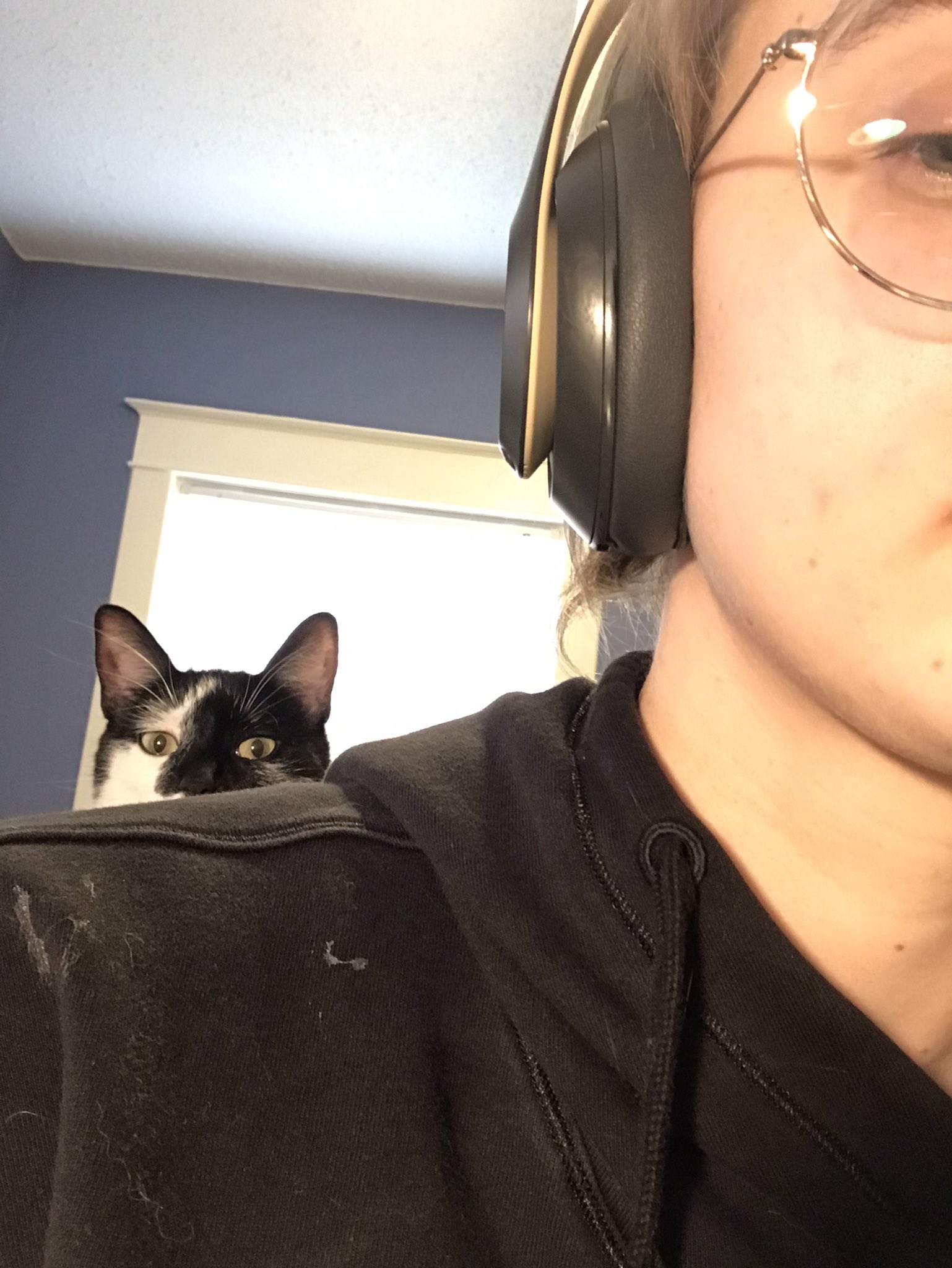 she invaded my online class but she was on her best behavior. 10/10 a very polite girl | Scrolller