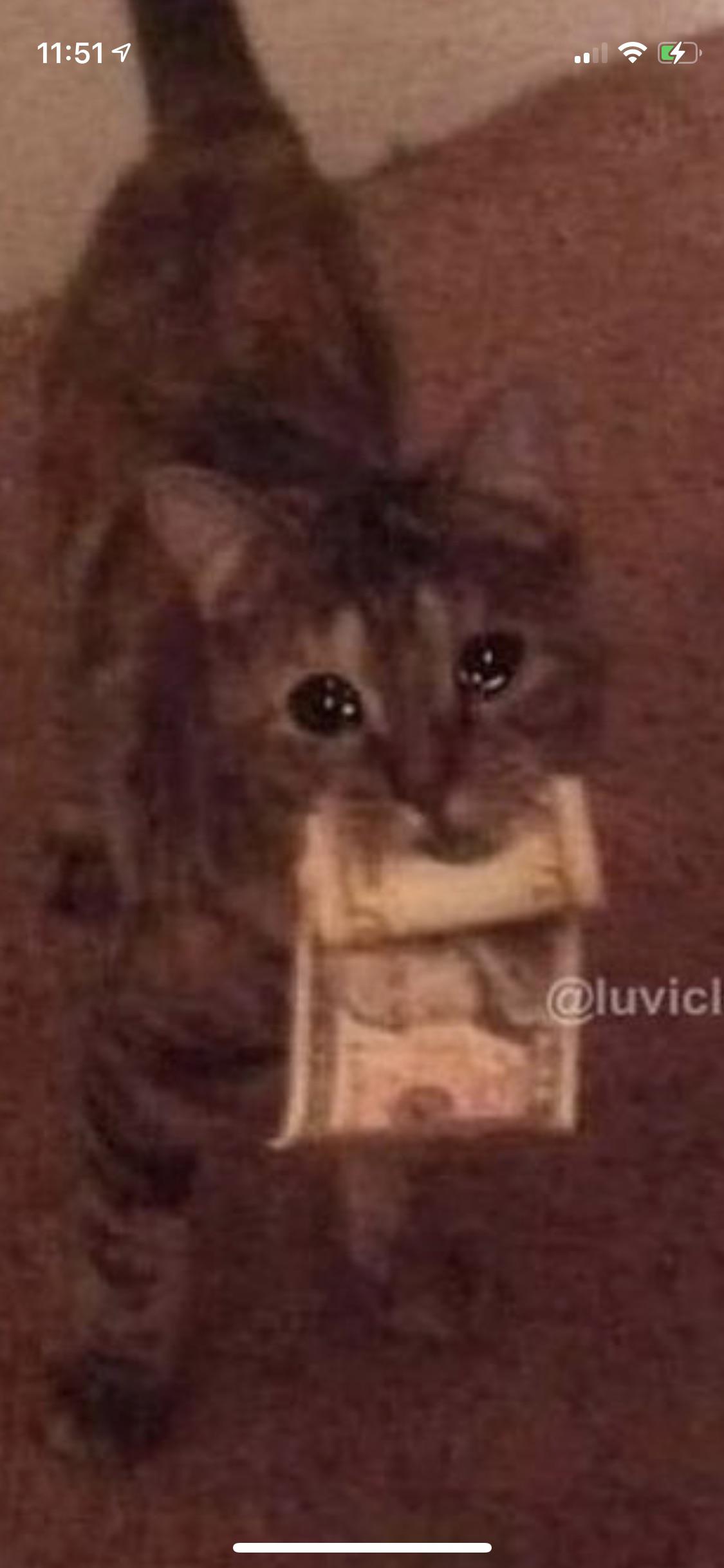 She is my dancer, when she dance I throw her dollars. | Scrolller