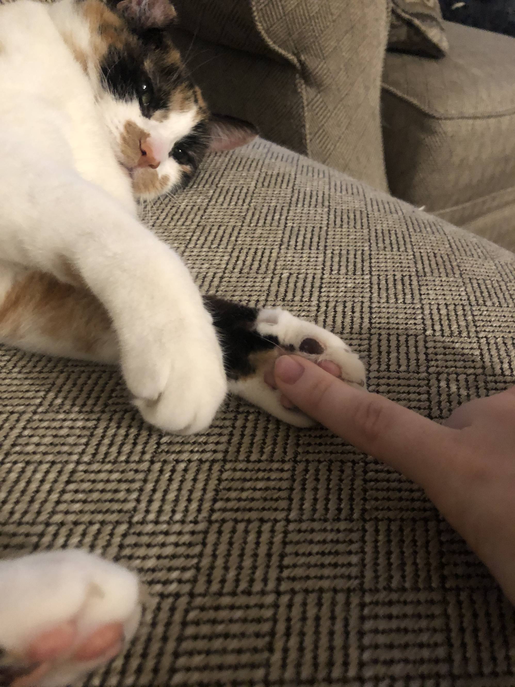 She let me “hold” her beans tonight ️ | Scrolller