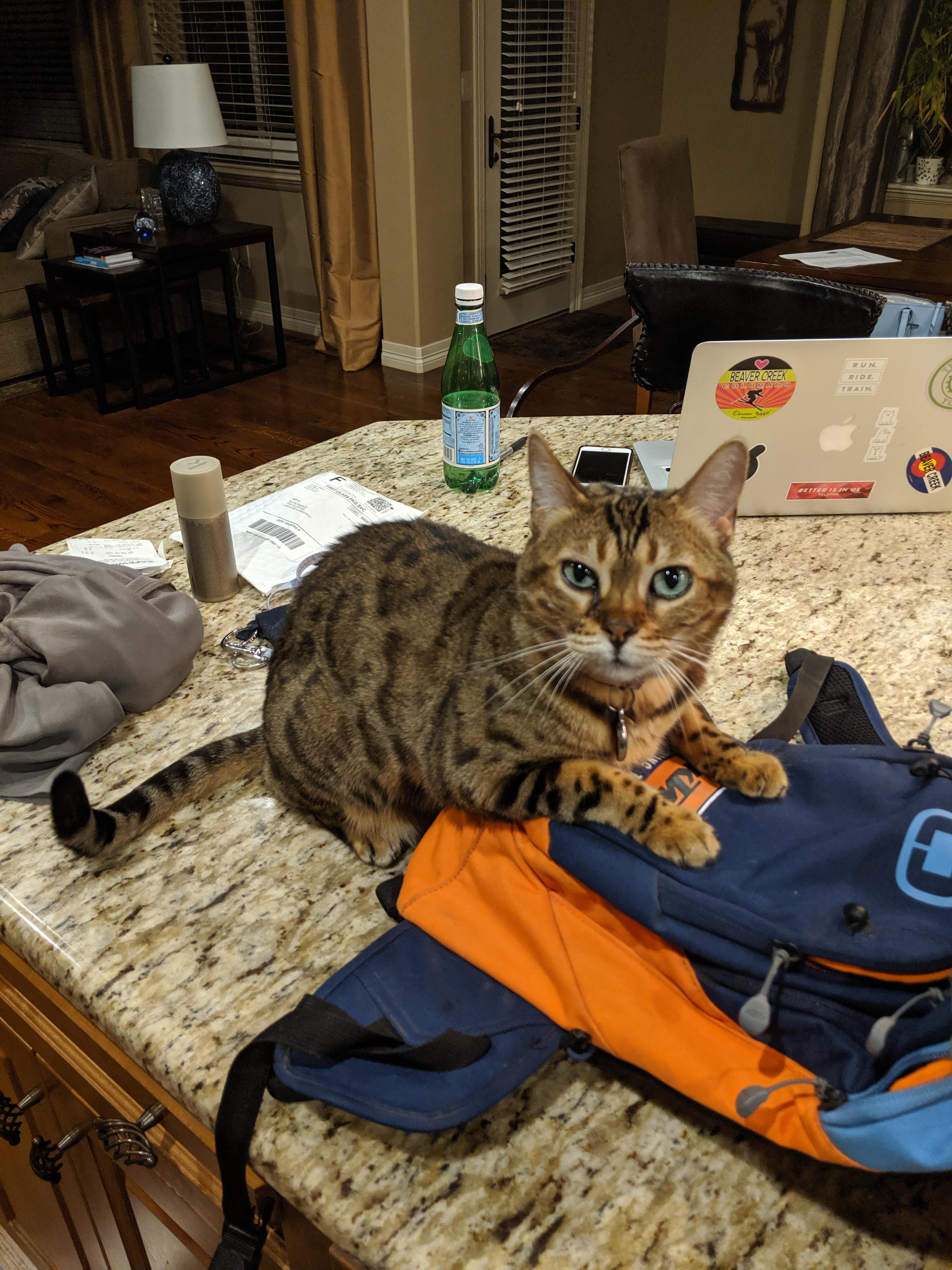 She likes my KTM water backpack | Scrolller