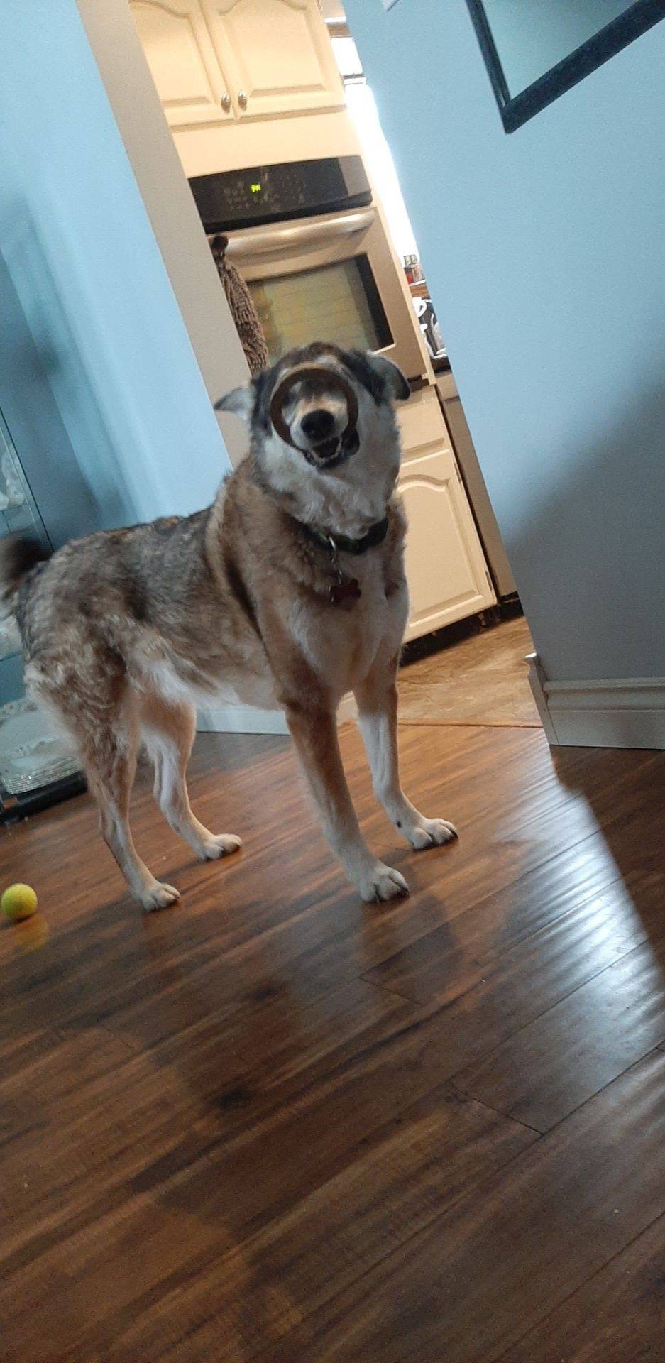 She may look silly but I love her all the same | Scrolller