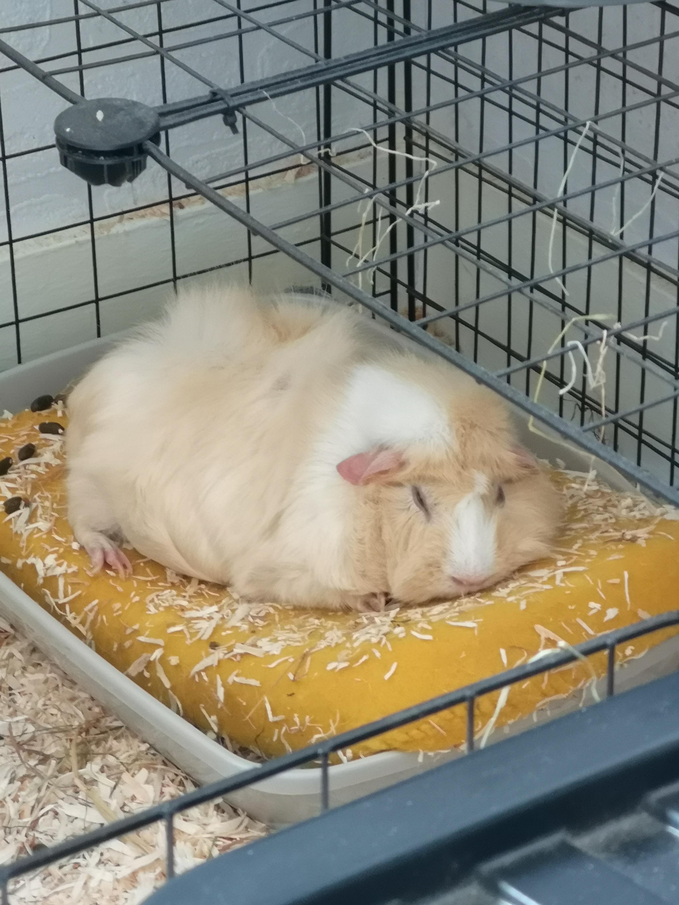 She melted :3 | Scrolller