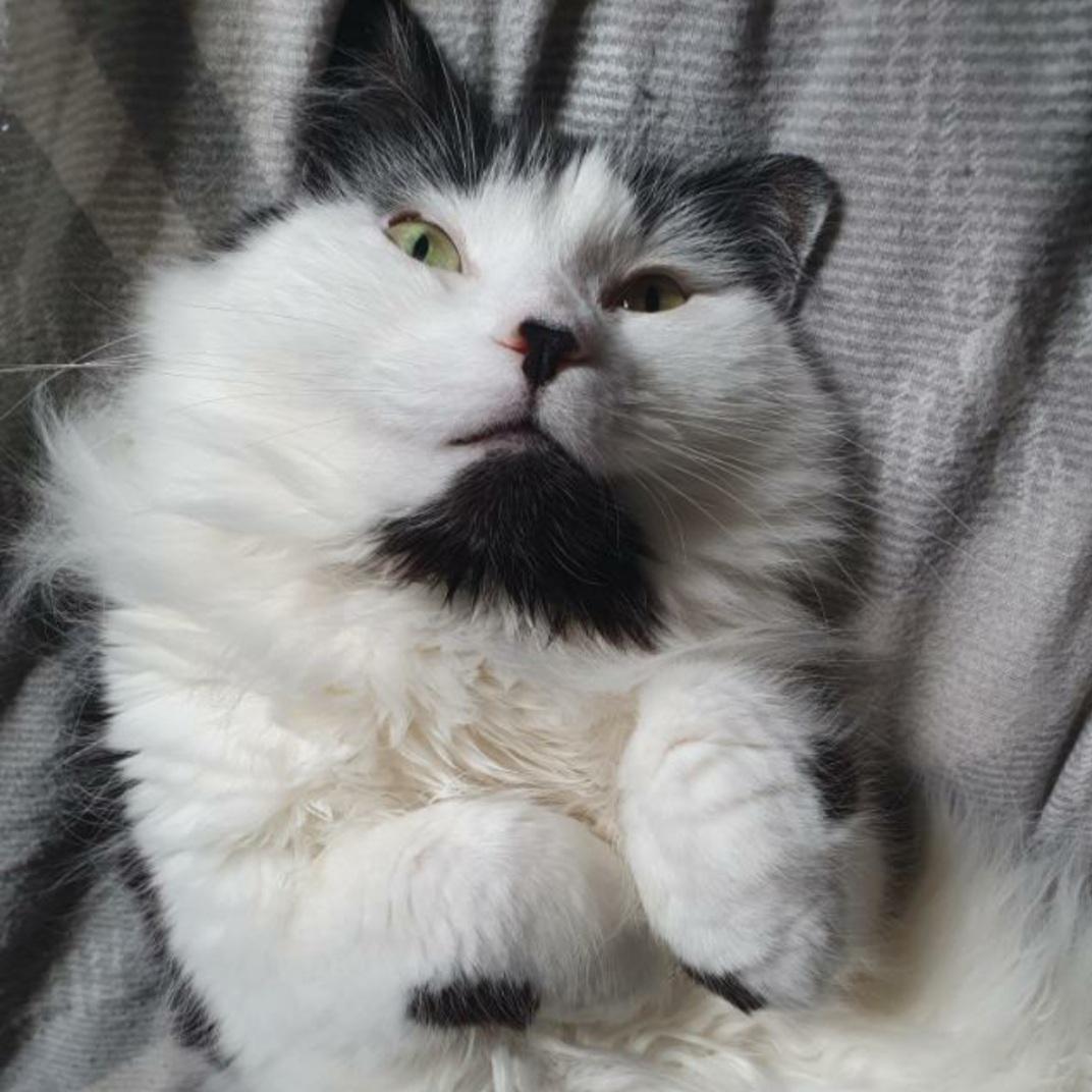 She melted | Scrolller