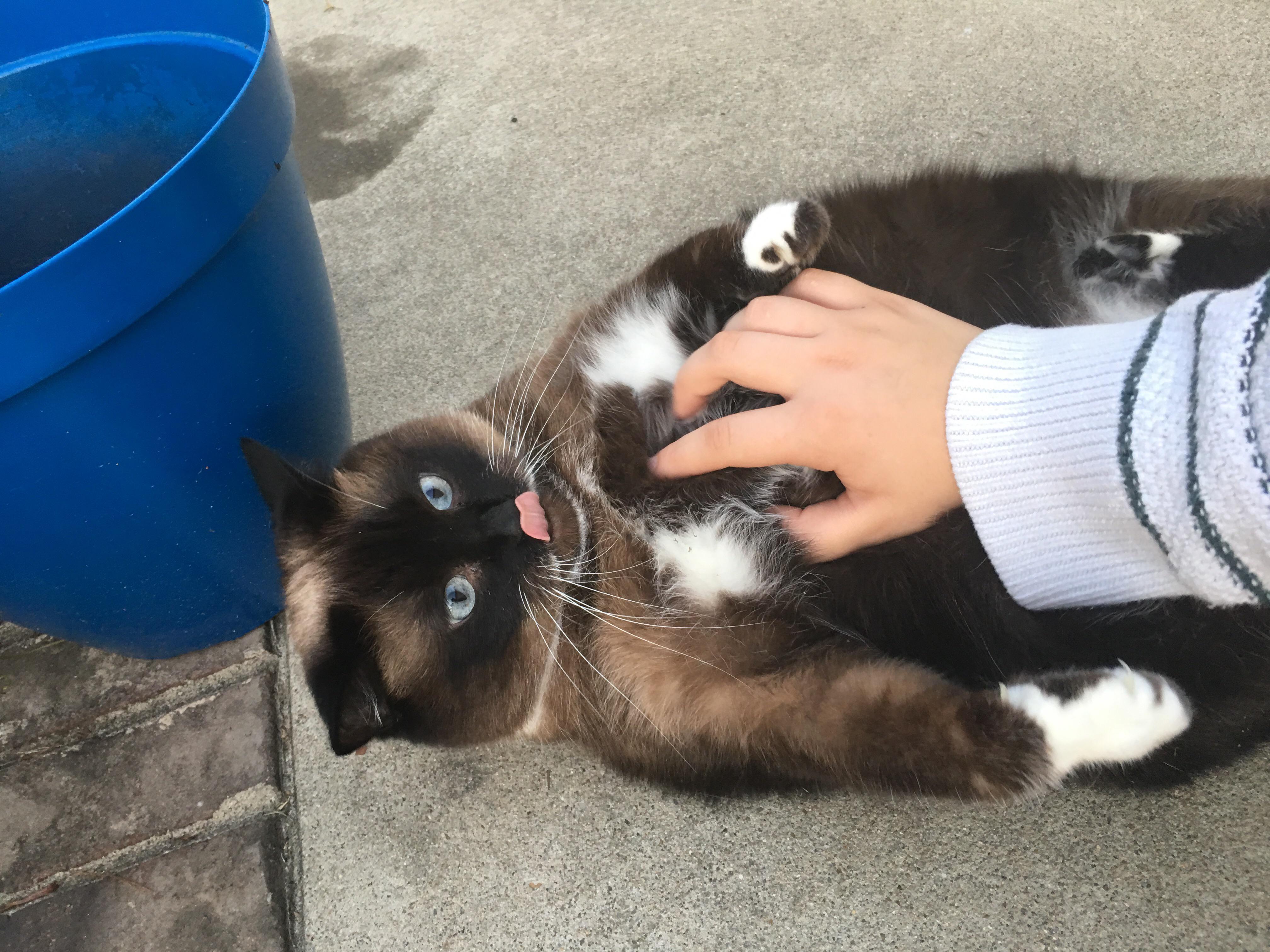 She mlem | Scrolller