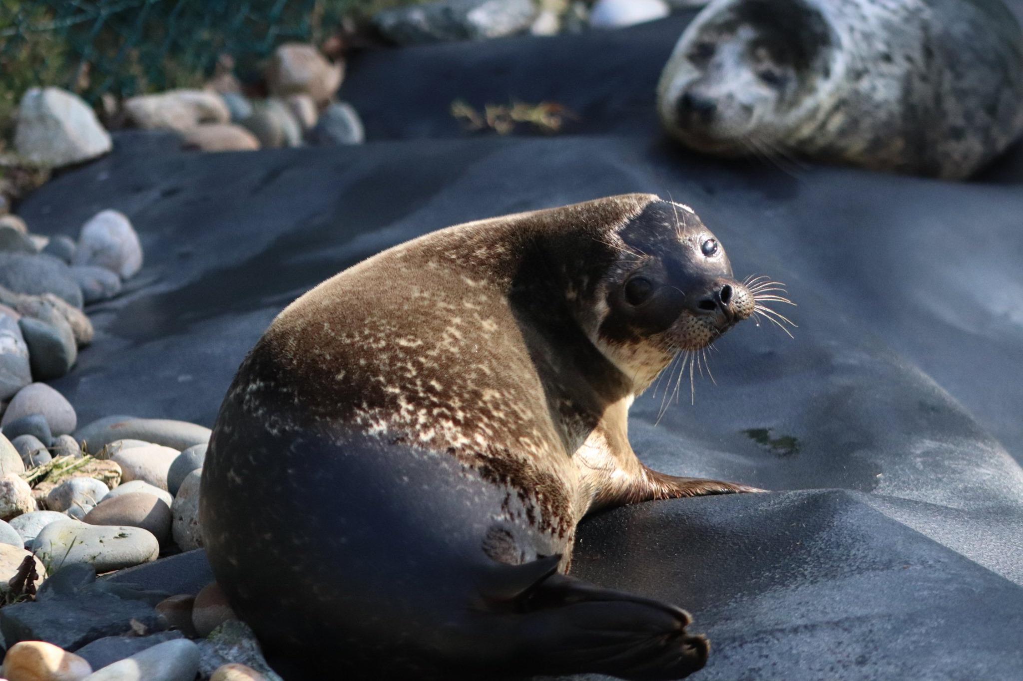 She poses | Scrolller