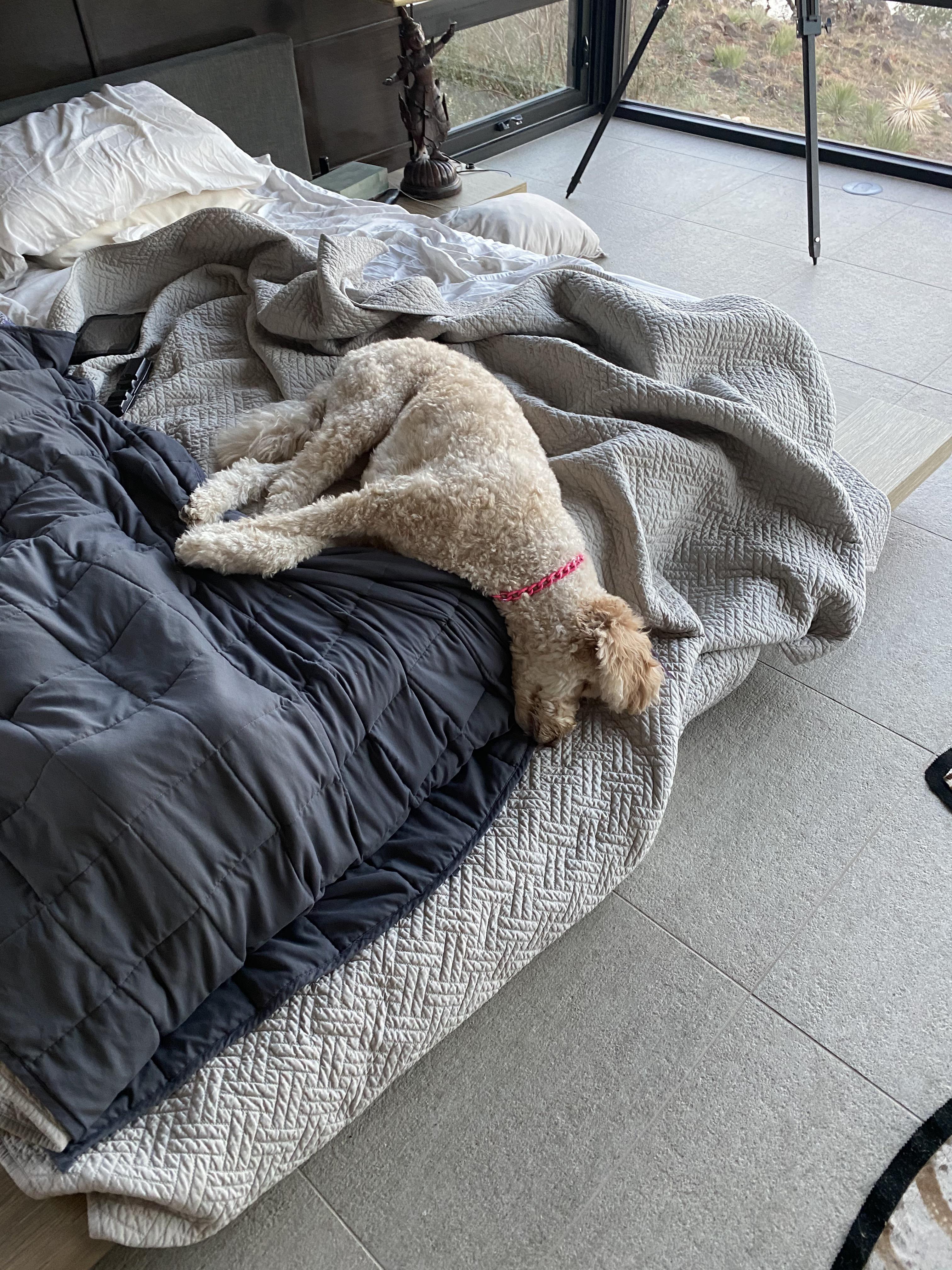 She’s fast asleep 💤 | Scrolller