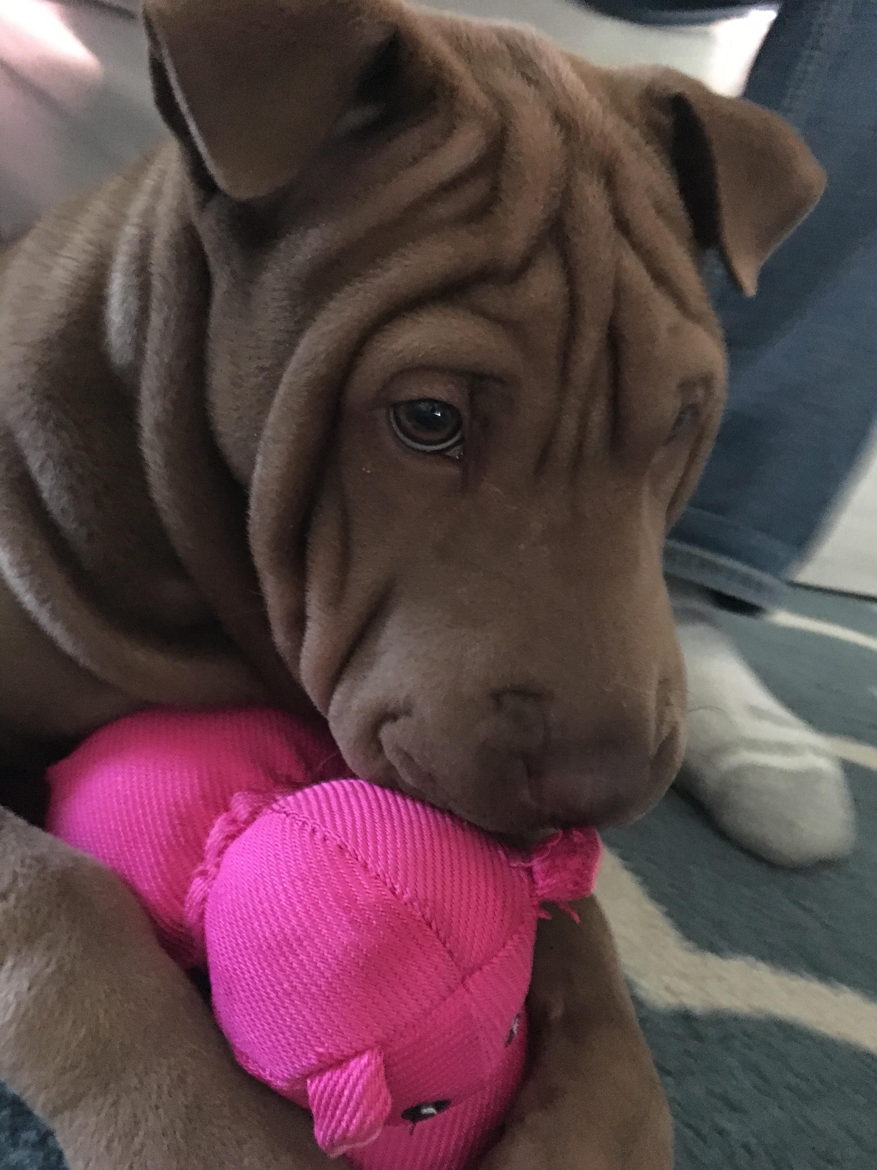 She’s Plotting Something... | Scrolller